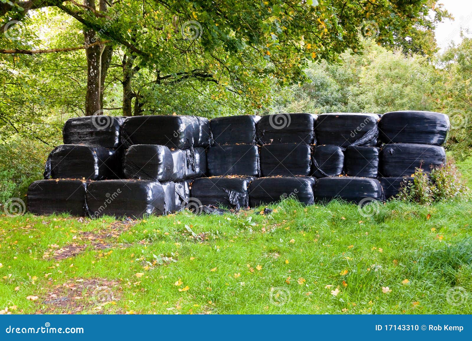 Black Wrapped Silage Cattle Fodder Bales Stock Photo - Image of ...