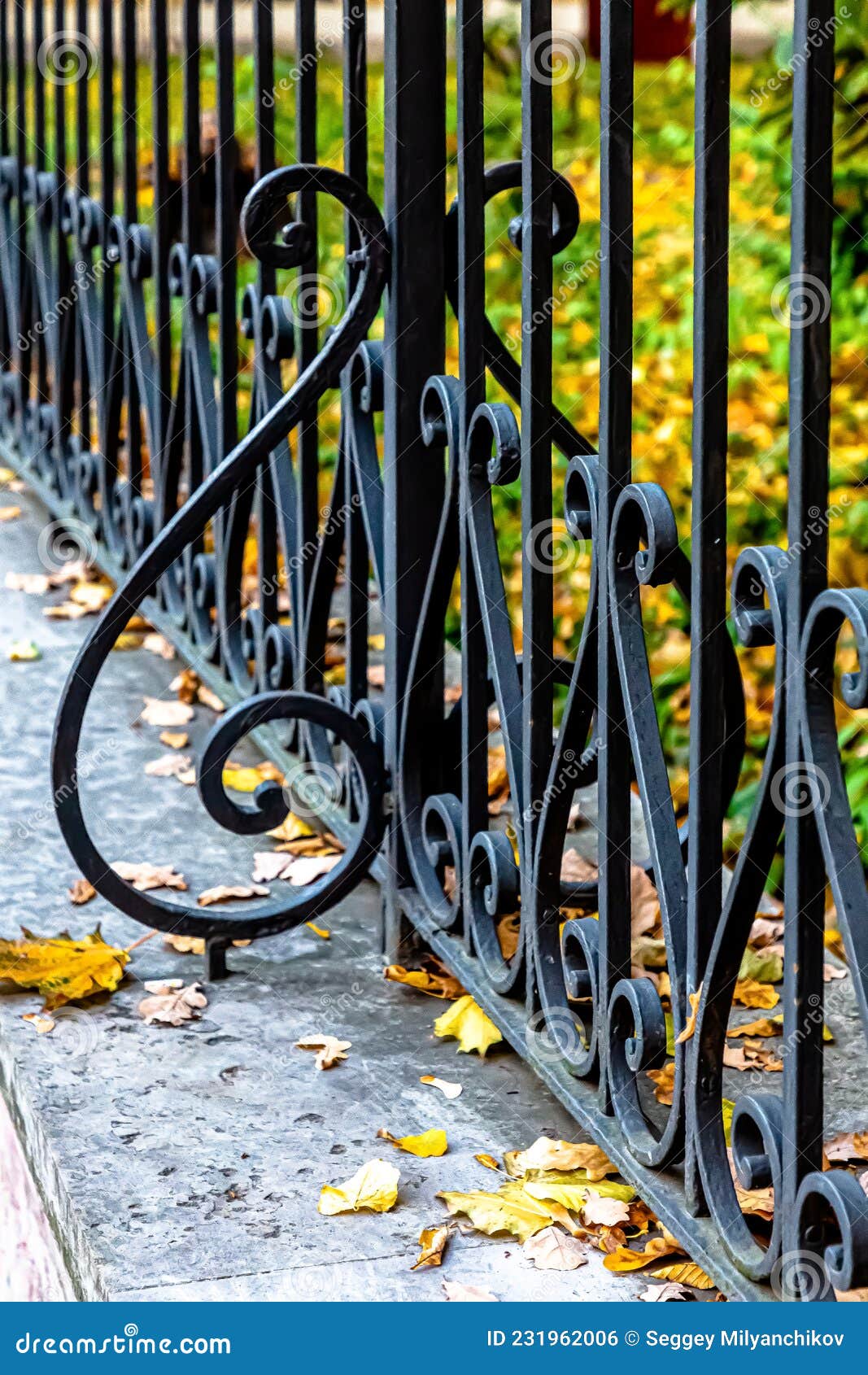 Black Wrought Iron Lattice on a Background of Yellow Leaves Stock Photo ...