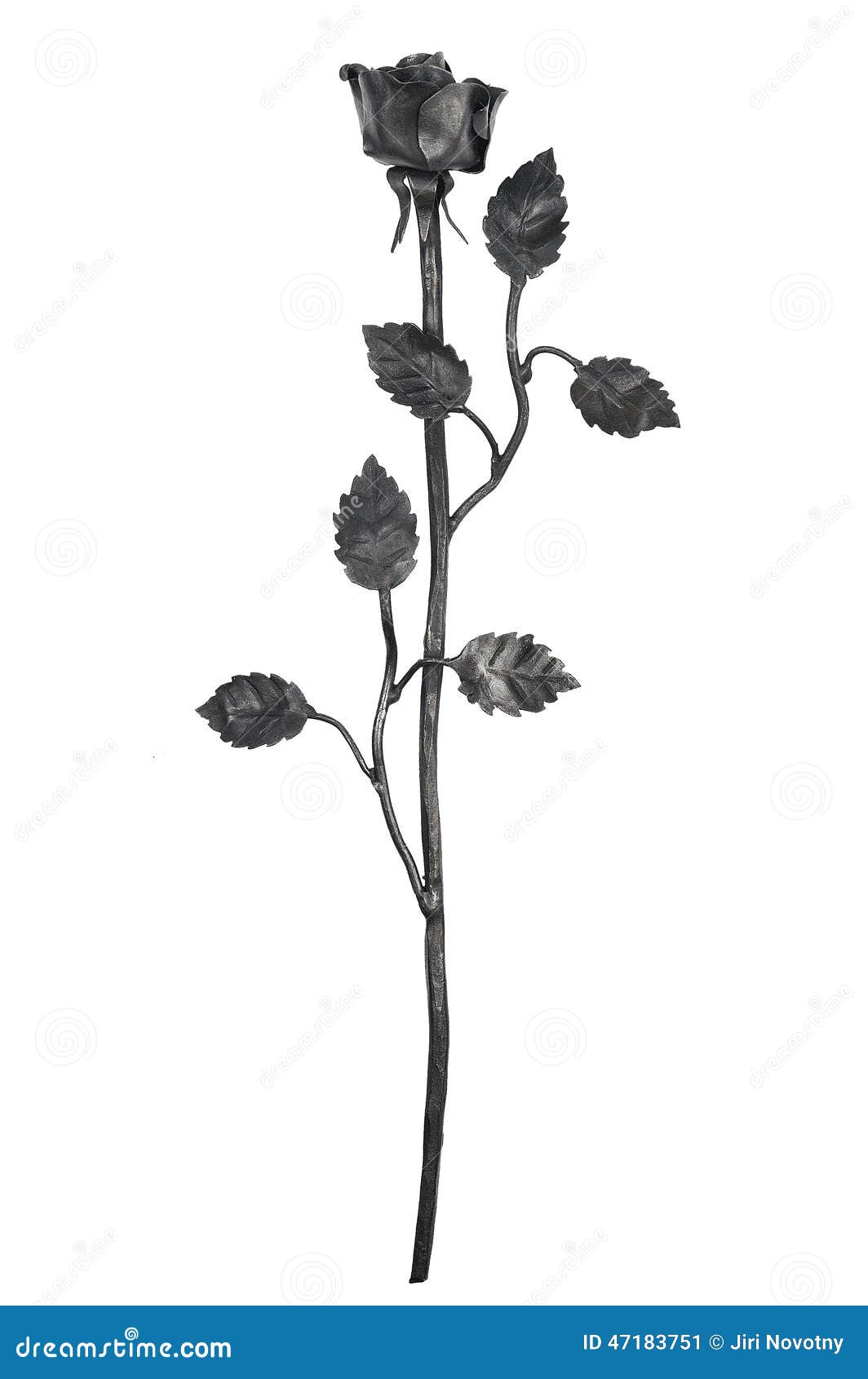 Black Forged Iron Rose - Isolated Stock Image - Image of product ...