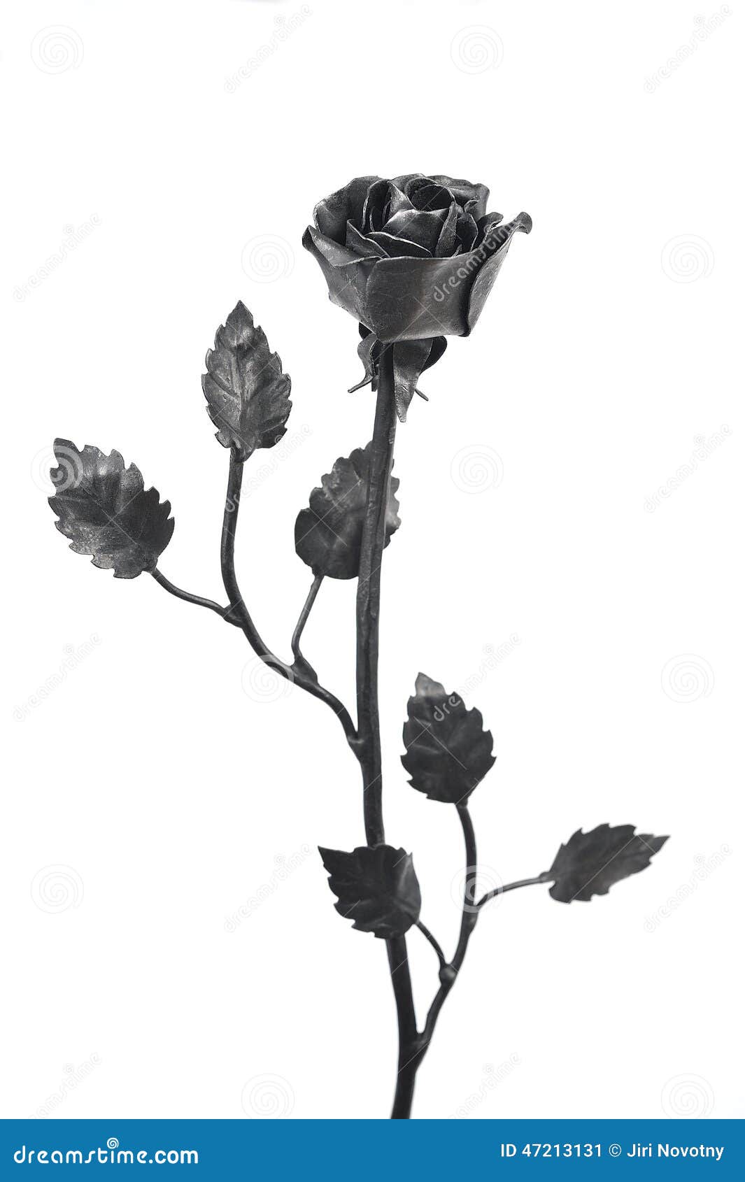 Black forged iron rose stock image. Image of nature, funeral - 47213131