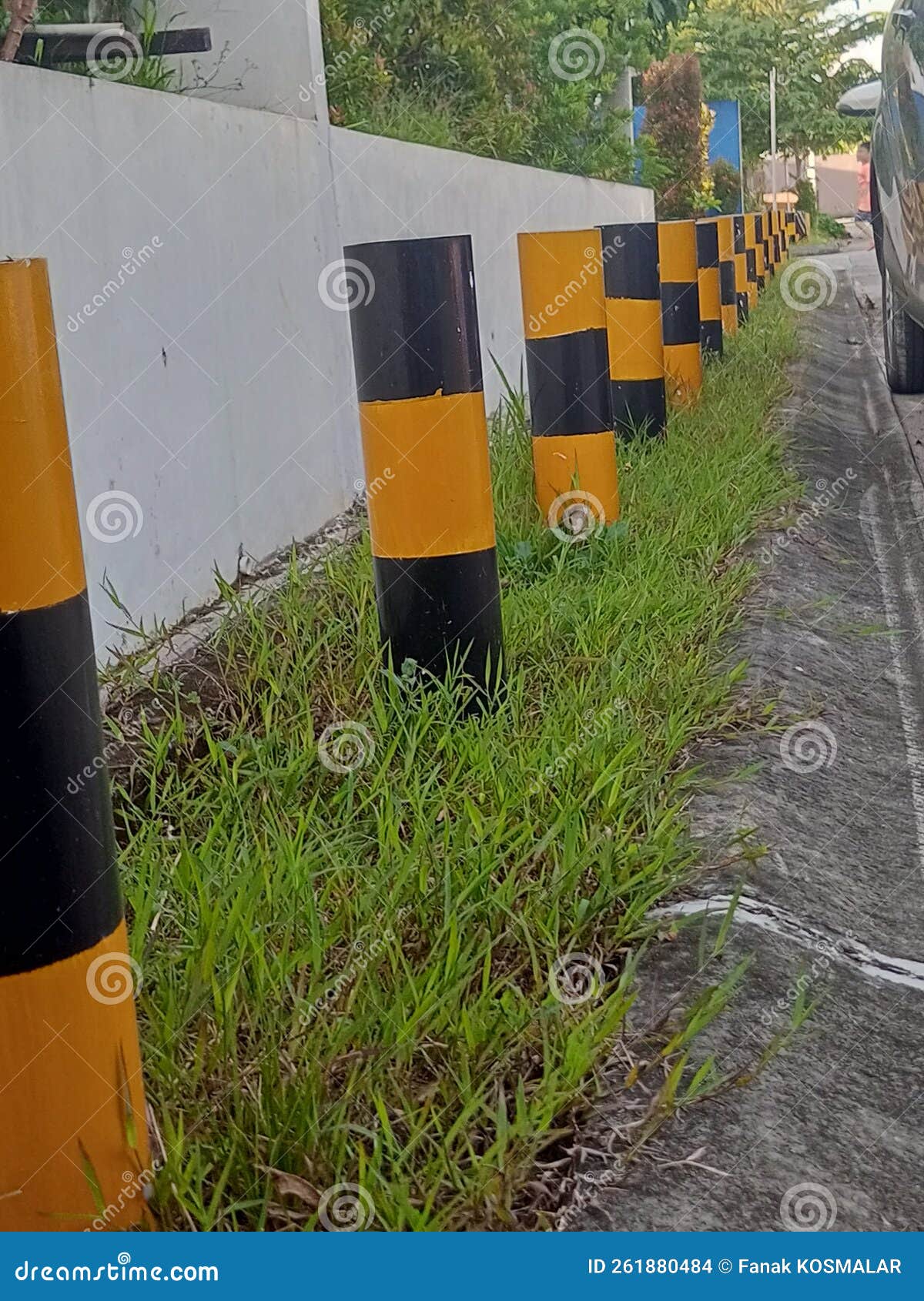 A Black and Yellow Roadblock Stock Photo - Image of plant, green: 261880484