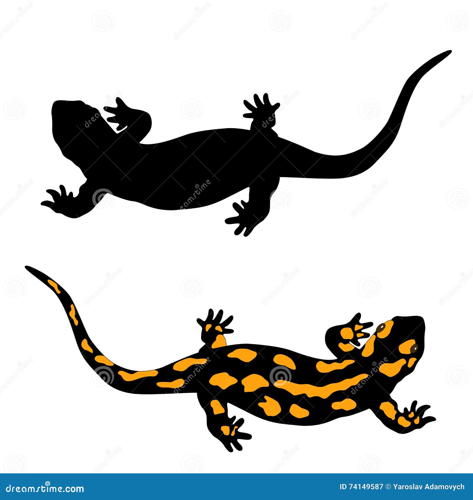 Salamander Camouflage Cartoon Vector | CartoonDealer.com #18834941