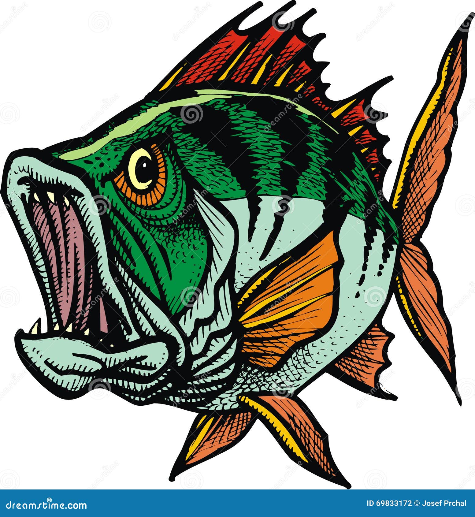 Blackback Fish Isolated Stock Illustrations – 11 Blackback Fish ...