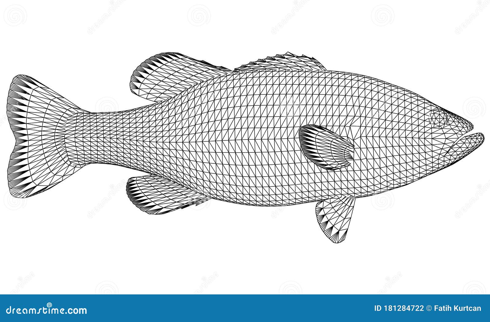 Black Sea Bass Drawing Vector Illustration | CartoonDealer.com #76128674
