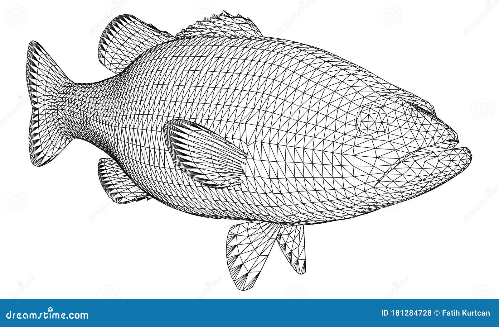 Black Sea Bass Or Asian Sea Bass Side View Retro Woodcut Black And ...