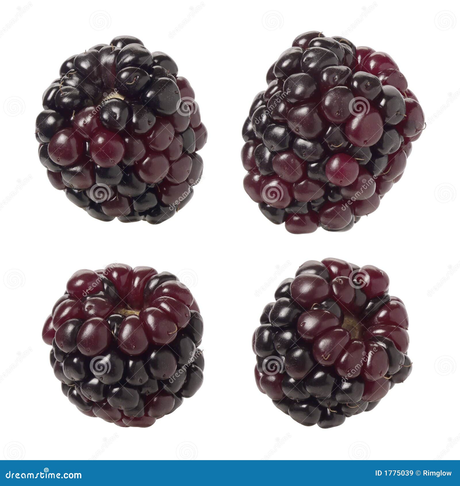 Blackberries stock image. Image of citrus, taste, healthy - 1775039