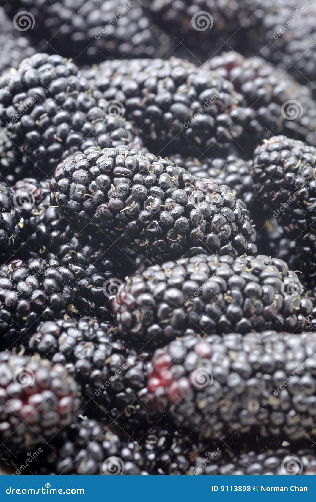 Blackberries background stock photo. Image of food, raspberry - 9113898