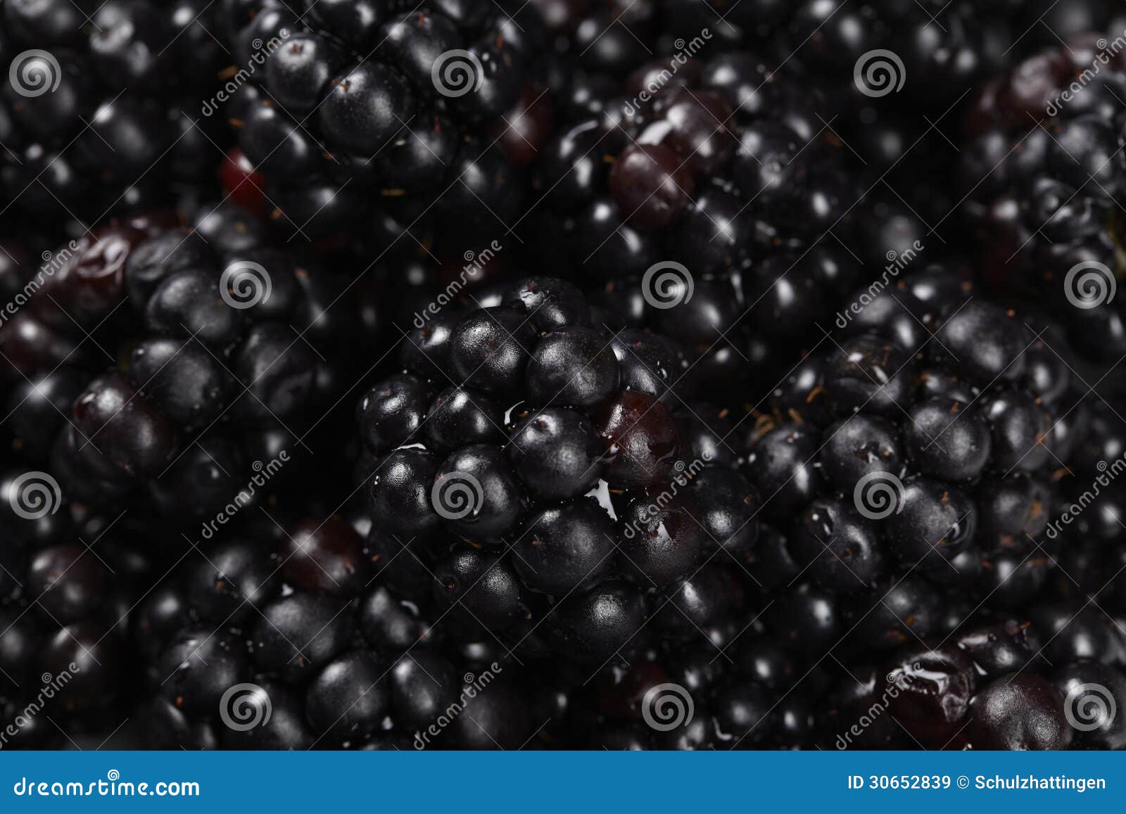 Blackberries - close up stock image. Image of food, blackberry - 30652839