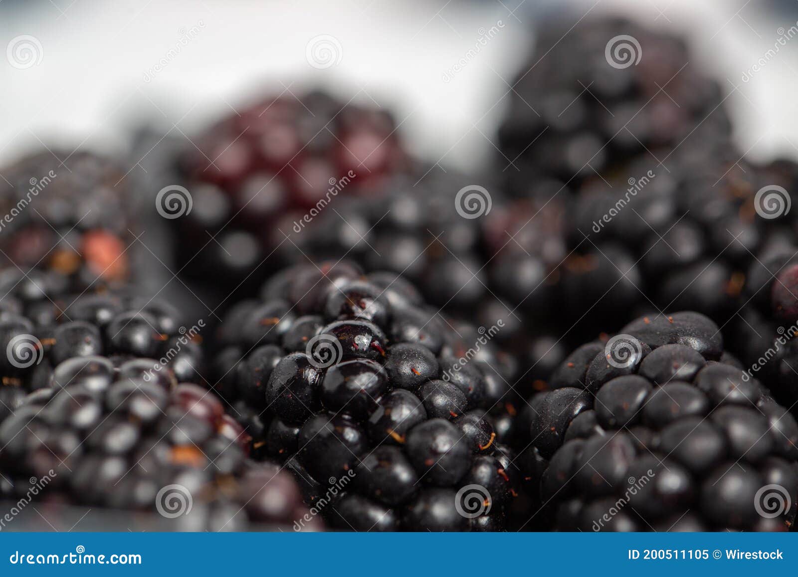 Blackberries Isolated on a White Background Stock Image - Image of food ...