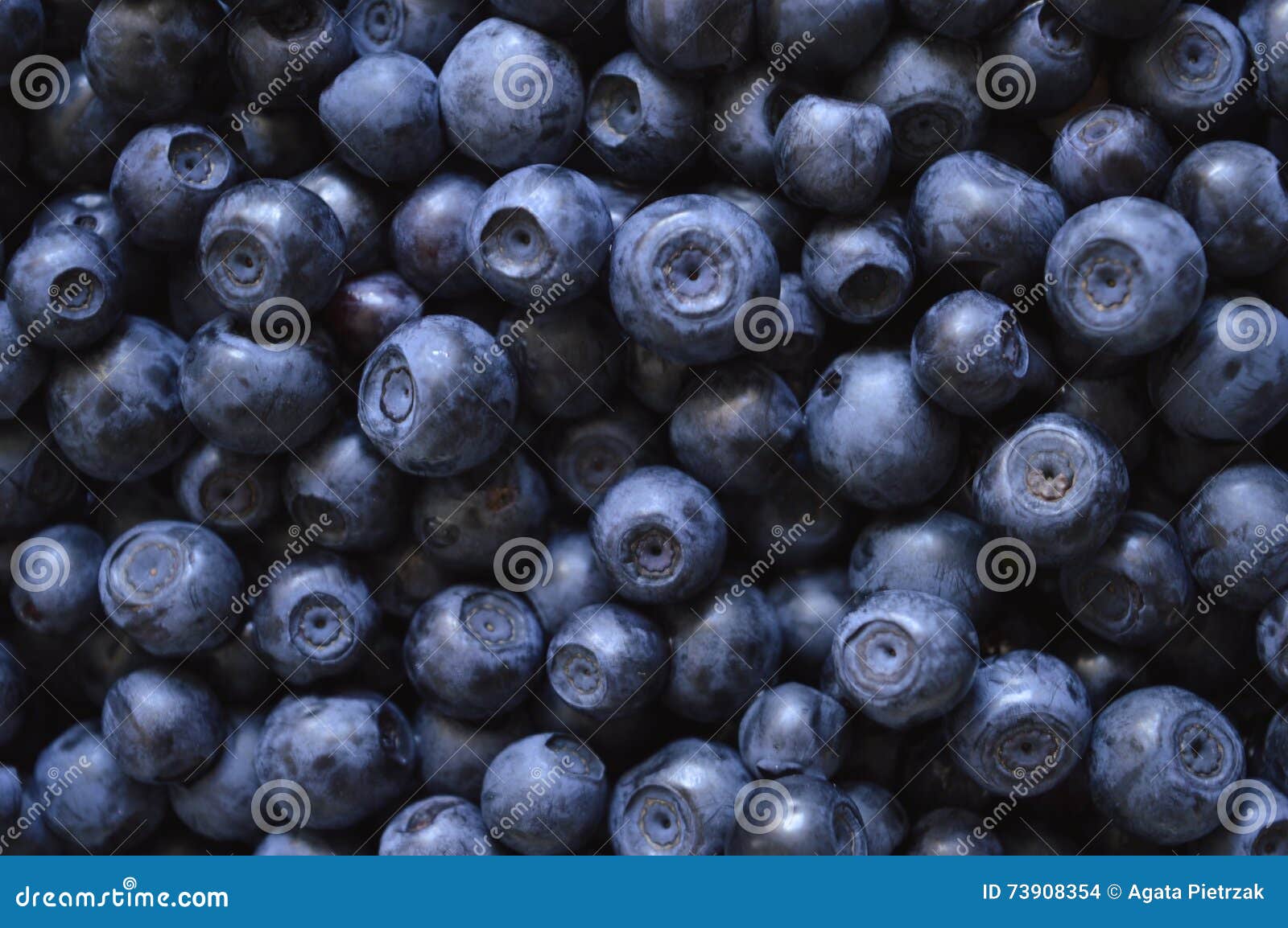 Blackberries stock photo. Image of uniform, blueberries - 73908354
