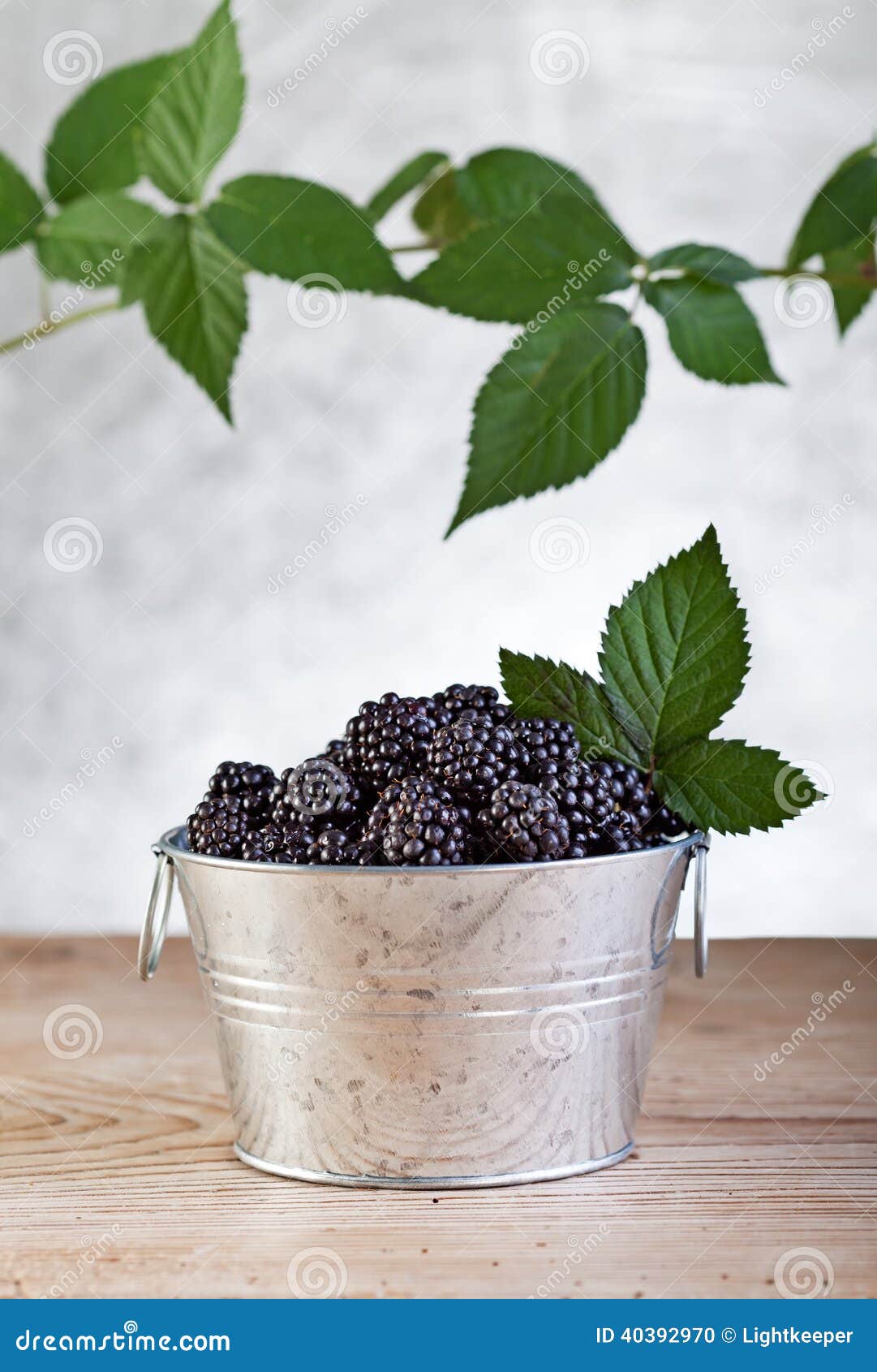 Blackberries in Small Bucket Stock Photo - Image of vitamin ...