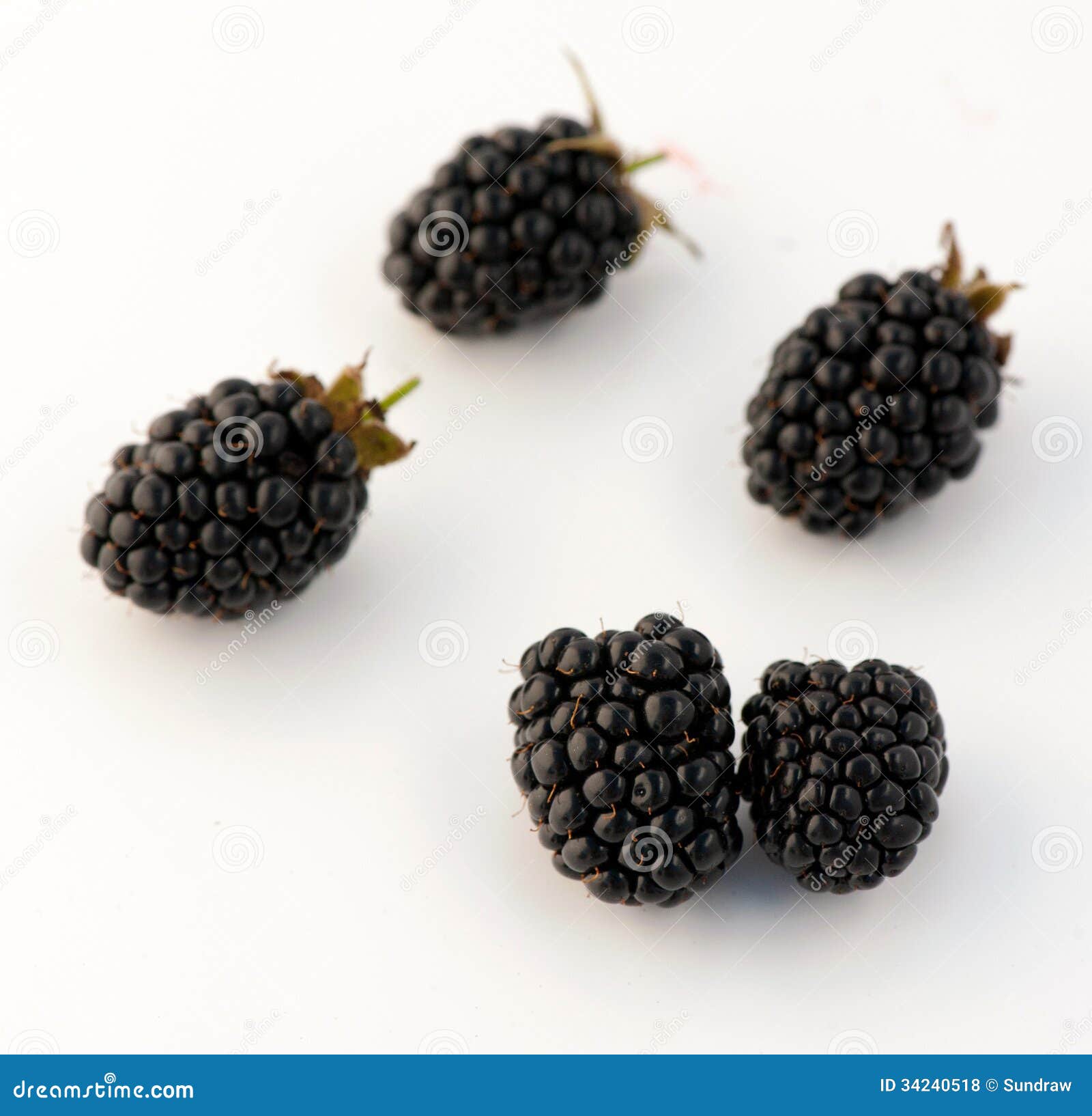 Blackberries on a white stock photo. Image of bramble - 34240518