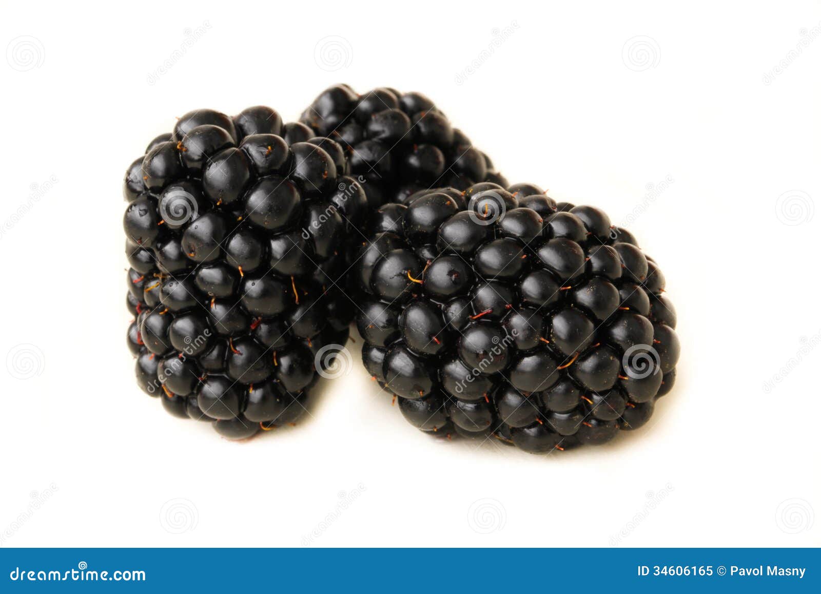 Blackberries on White Background Stock Image - Image of market, color ...