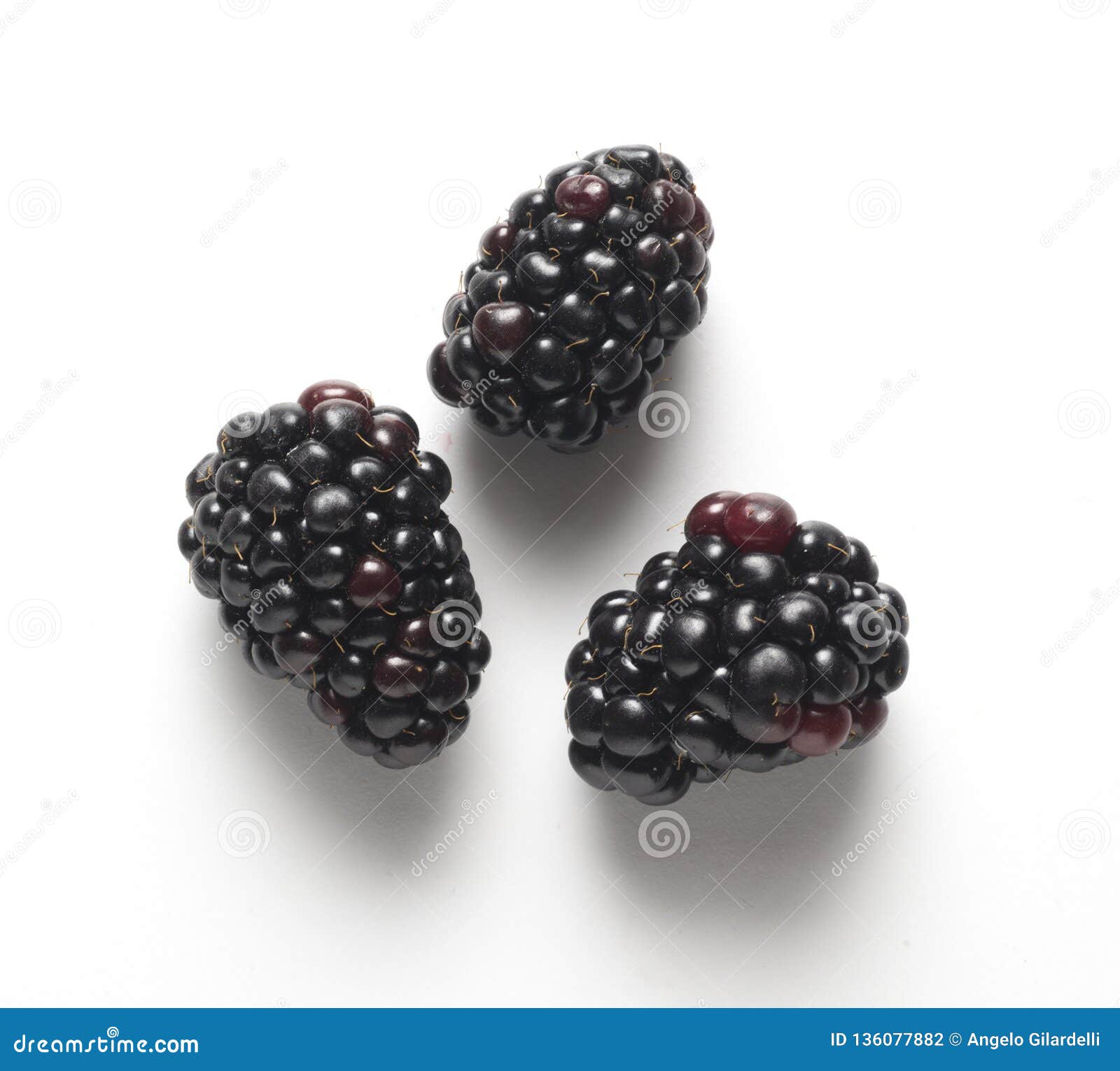 Blackberries on white stock photo. Image of three, aliment - 136077882