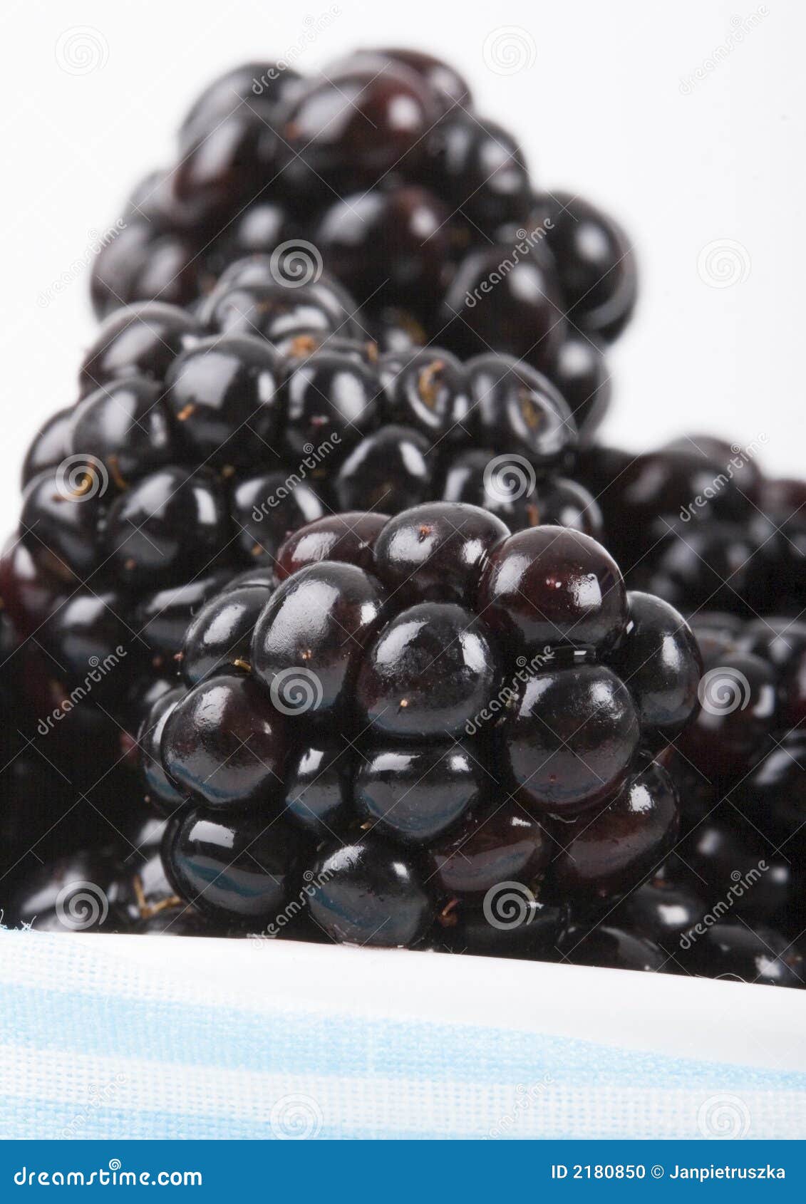 The blackberry stock photo. Image of black, fleshy, foods - 2180850