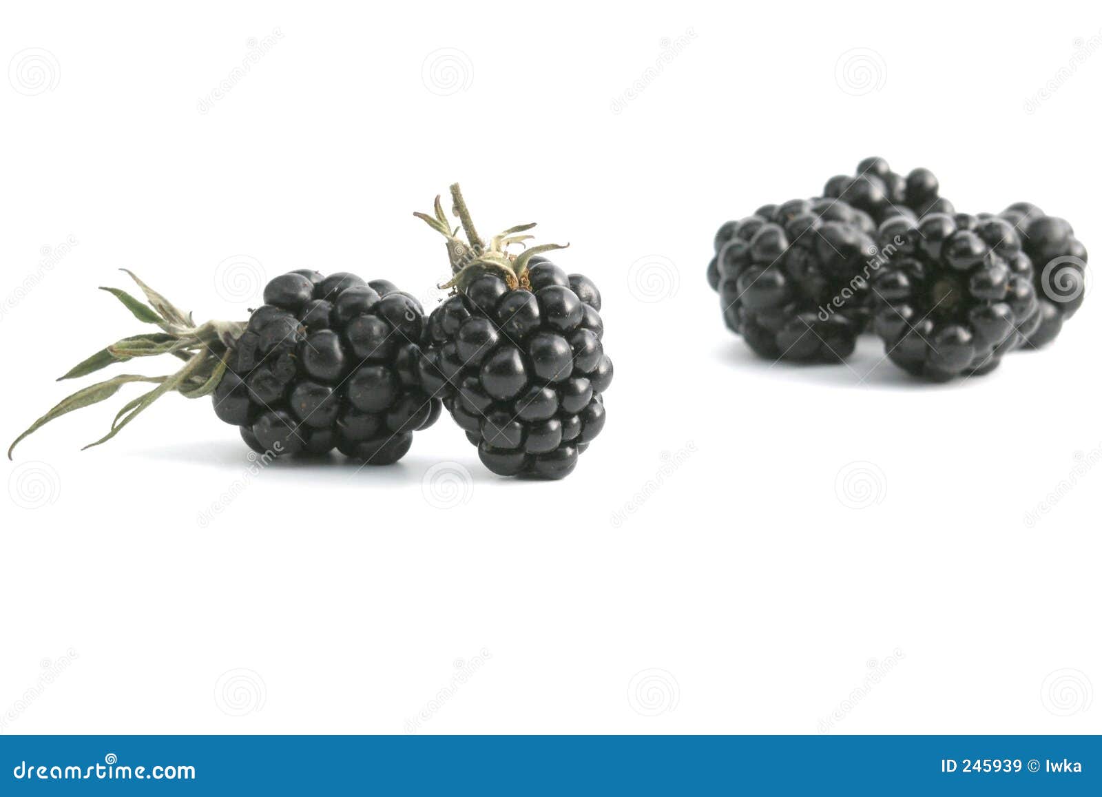 Blackberry stock image. Image of delicious, black, outdoor - 245939