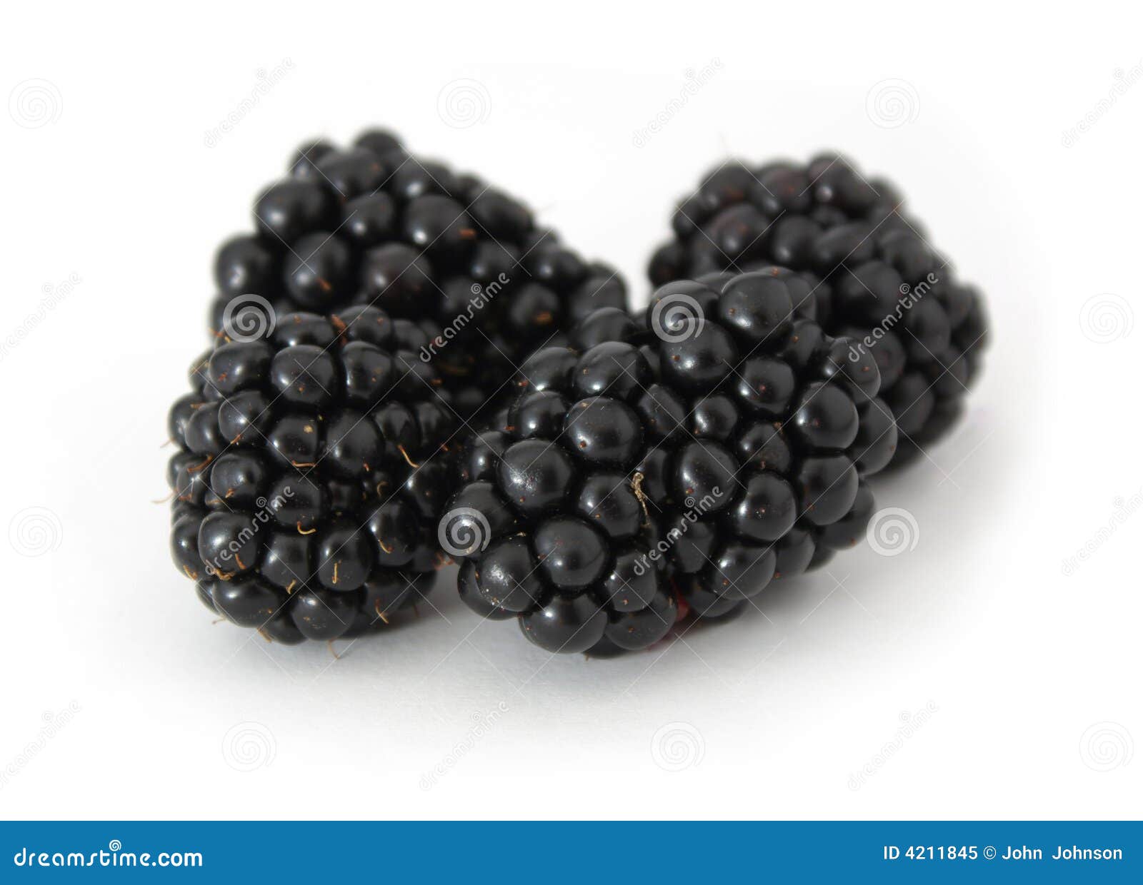 Blackberry stock image. Image of nature, blueberry, macro - 4211845