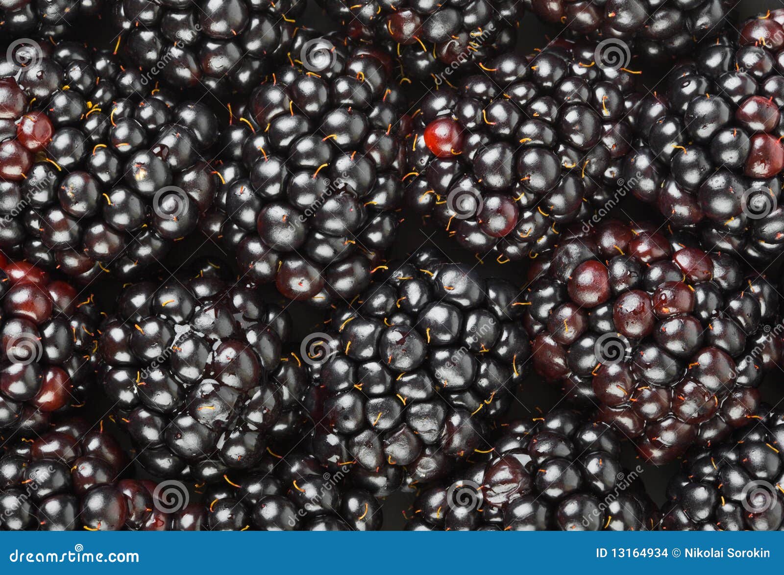 Blackberry background stock photo. Image of objects, color - 13164934