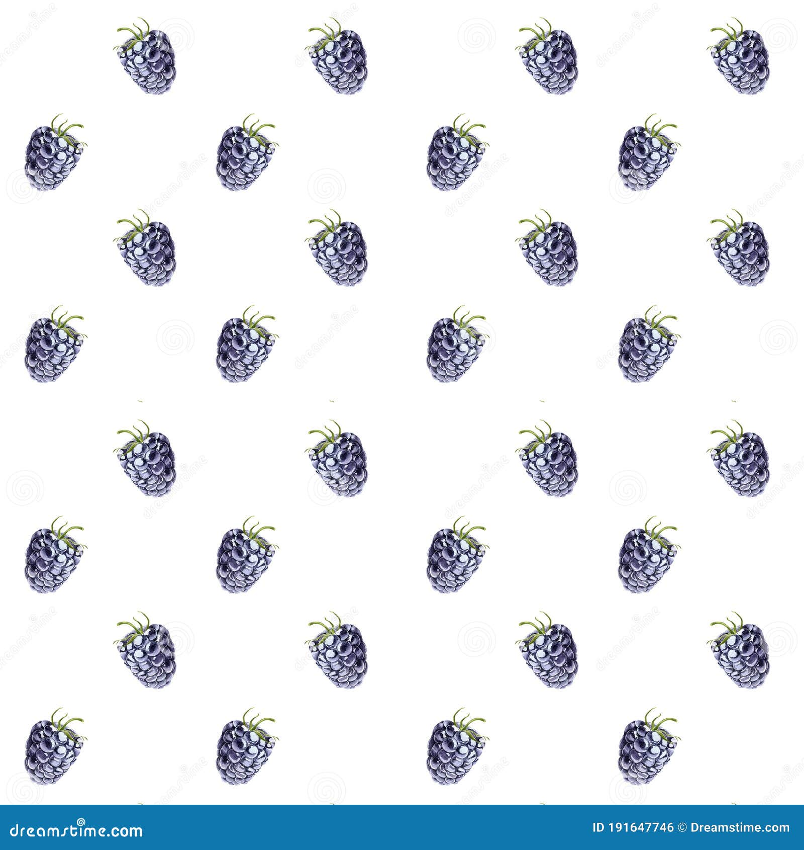 Blackberry Berries Seamless Watercolor Pattern on a White Background ...