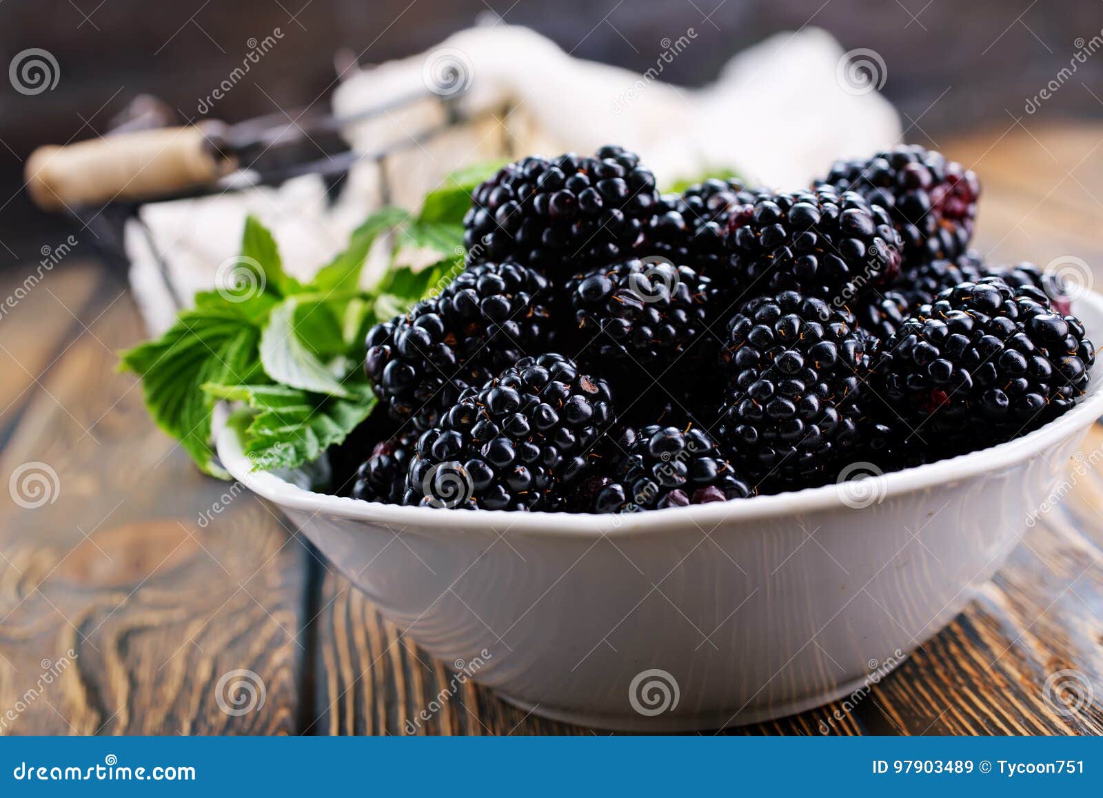 Leaf Mora Stock Photos - Free & Royalty-Free Stock Photos from Dreamstime