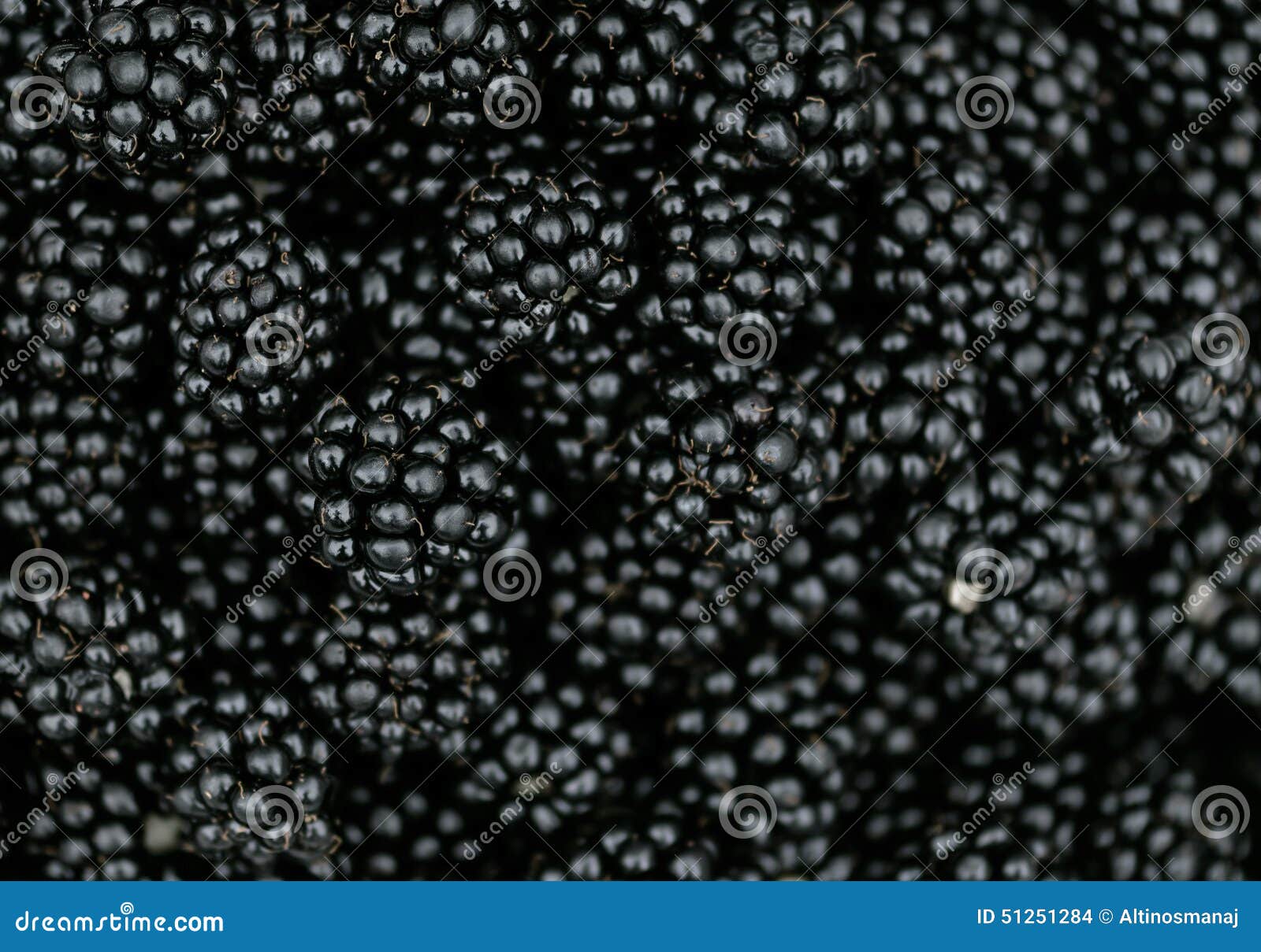 Blackberry Bramble Berry Background Texture Juicy Summer Fruit Royalty ...