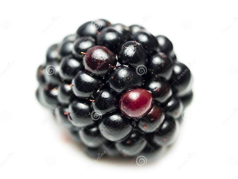 Blackberry or Bramble Fruit Stock Photo - Image of health, food: 7922876