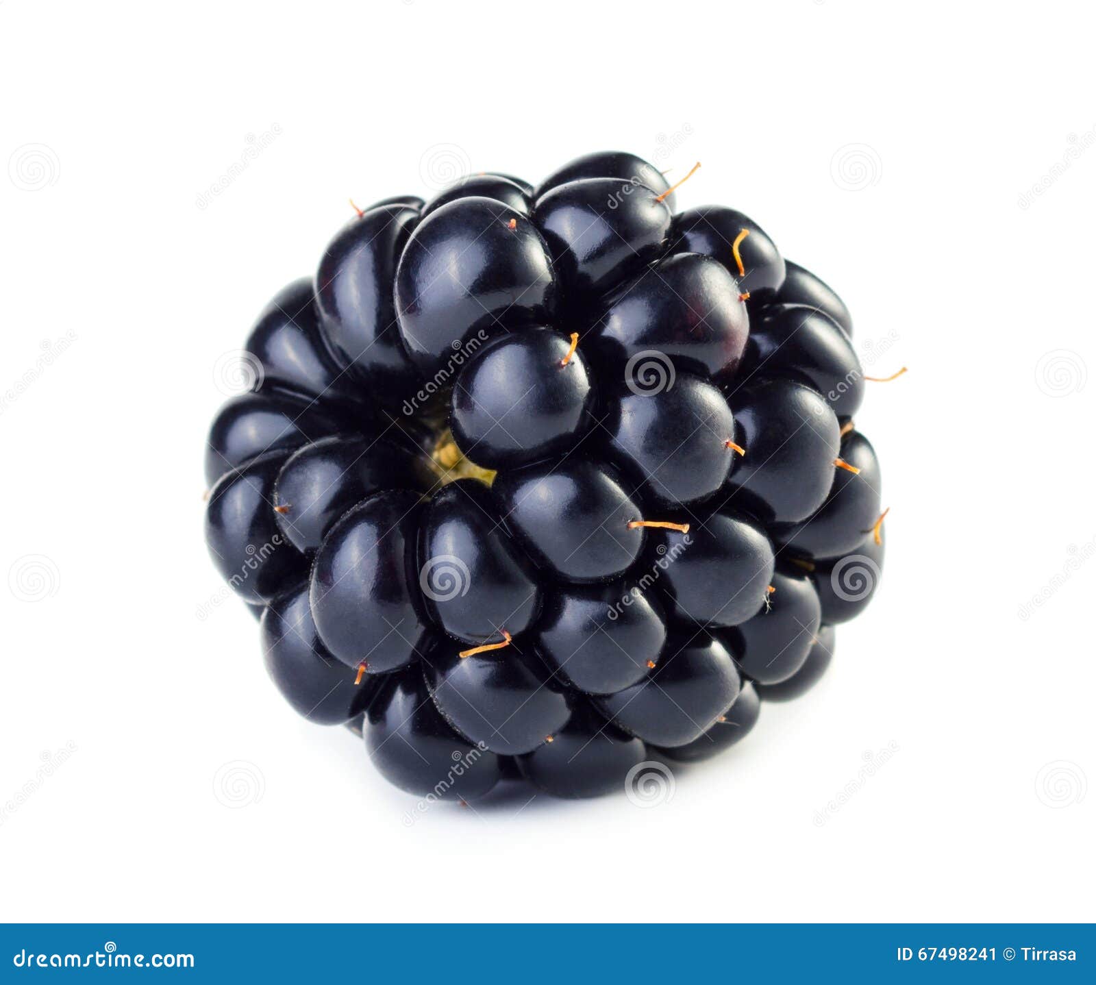 Blackberry stock image. Image of food, blackberry, dessert - 67498241