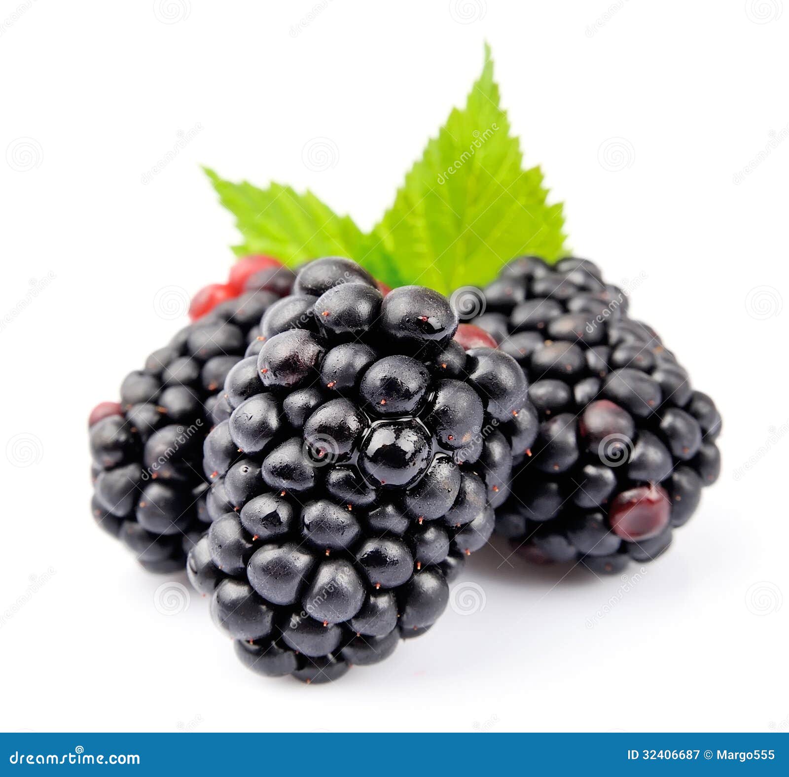 Blackberry-Frucht stockbild. Bild von nachtisch, grün - 32406687