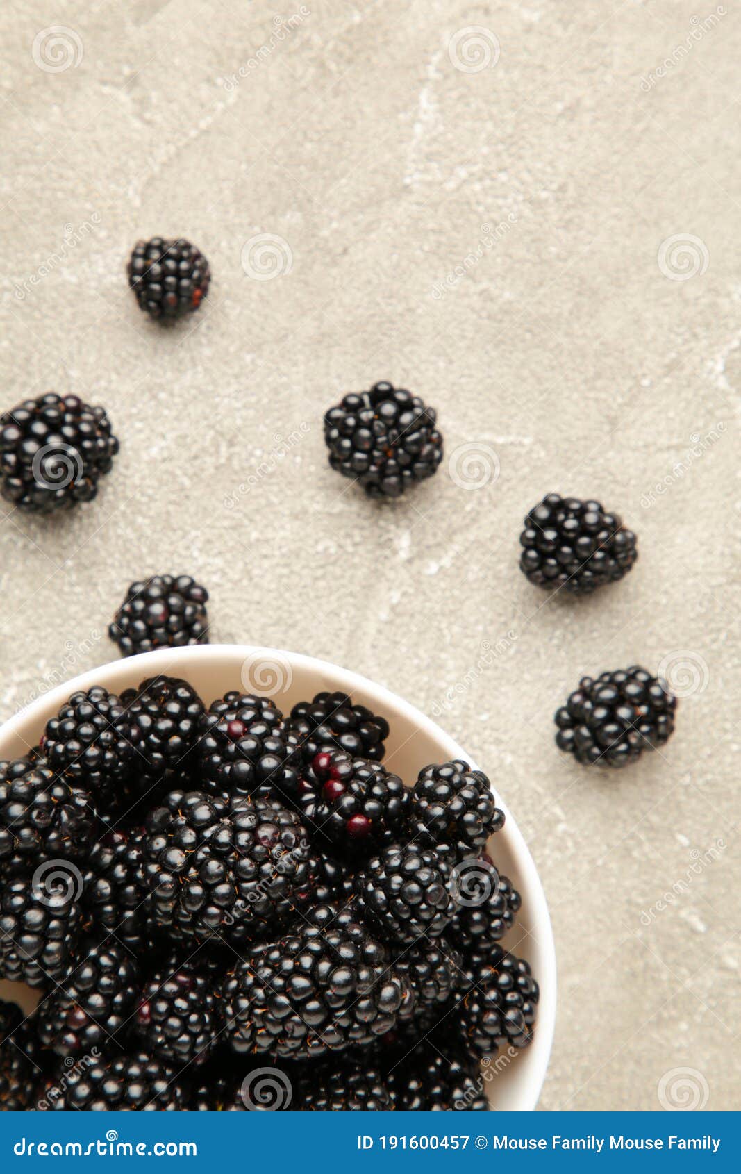 Blackberry Fruit in Bowl on Grey Background Stock Image - Image of ...