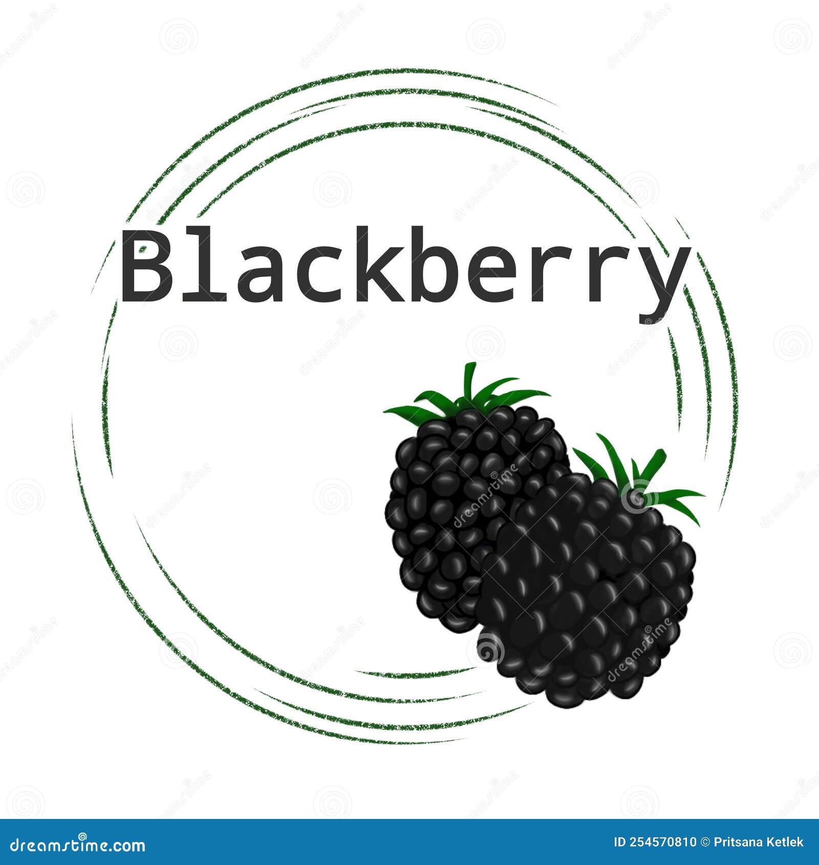 Blackberry Fruit with Hand Drawing Banner Stock Photo - Image of ...