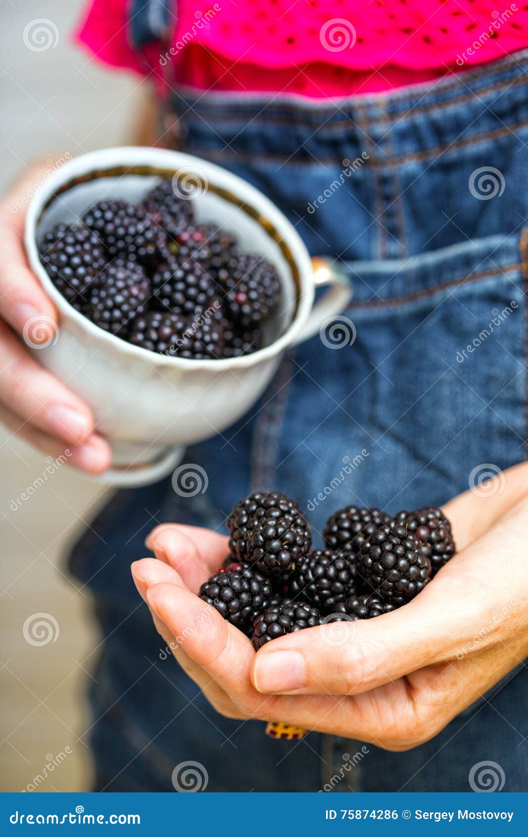 Blackberry fruit stock photo. Image of nutrition, group - 75874286