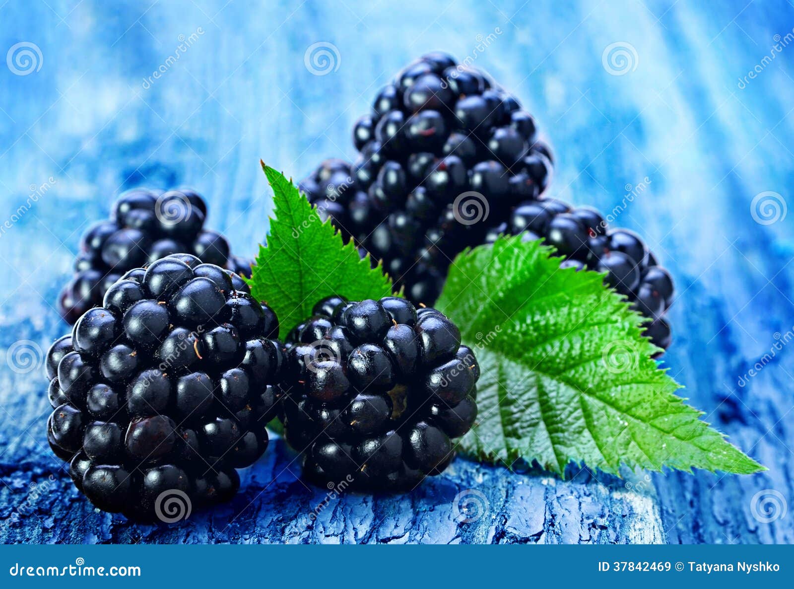 Blackberry fruit with leaf stock image. Image of healthy - 37842469