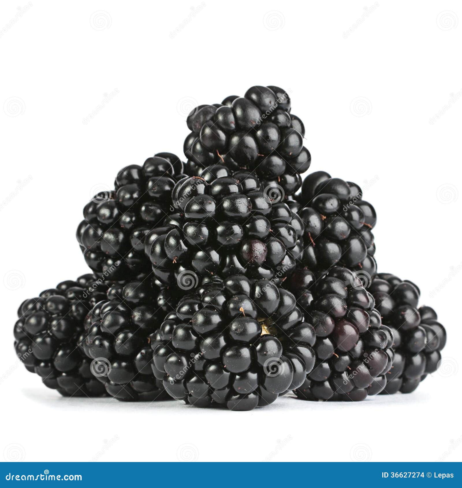 Blackberry fruit stock photo. Image of group, ripe, sweet - 36627274