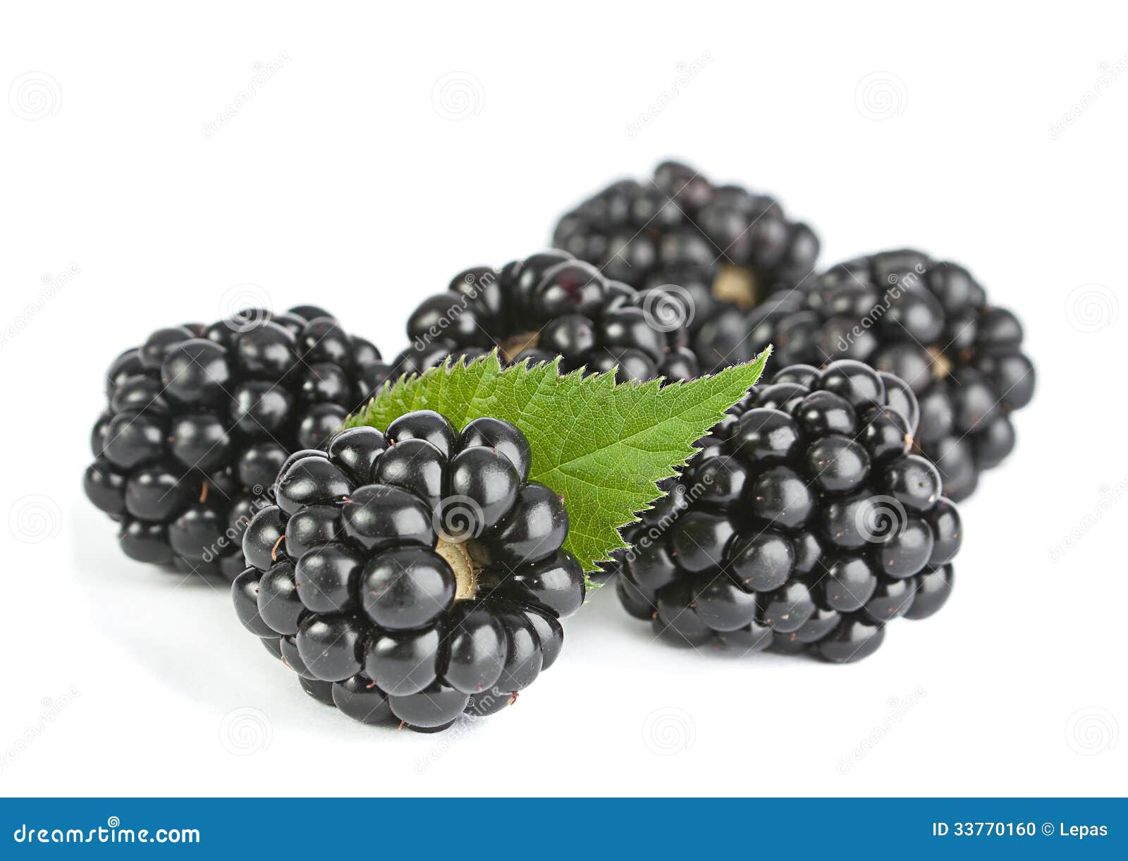 Blackberry fruit stock photo. Image of berry, rubus, group - 33770160