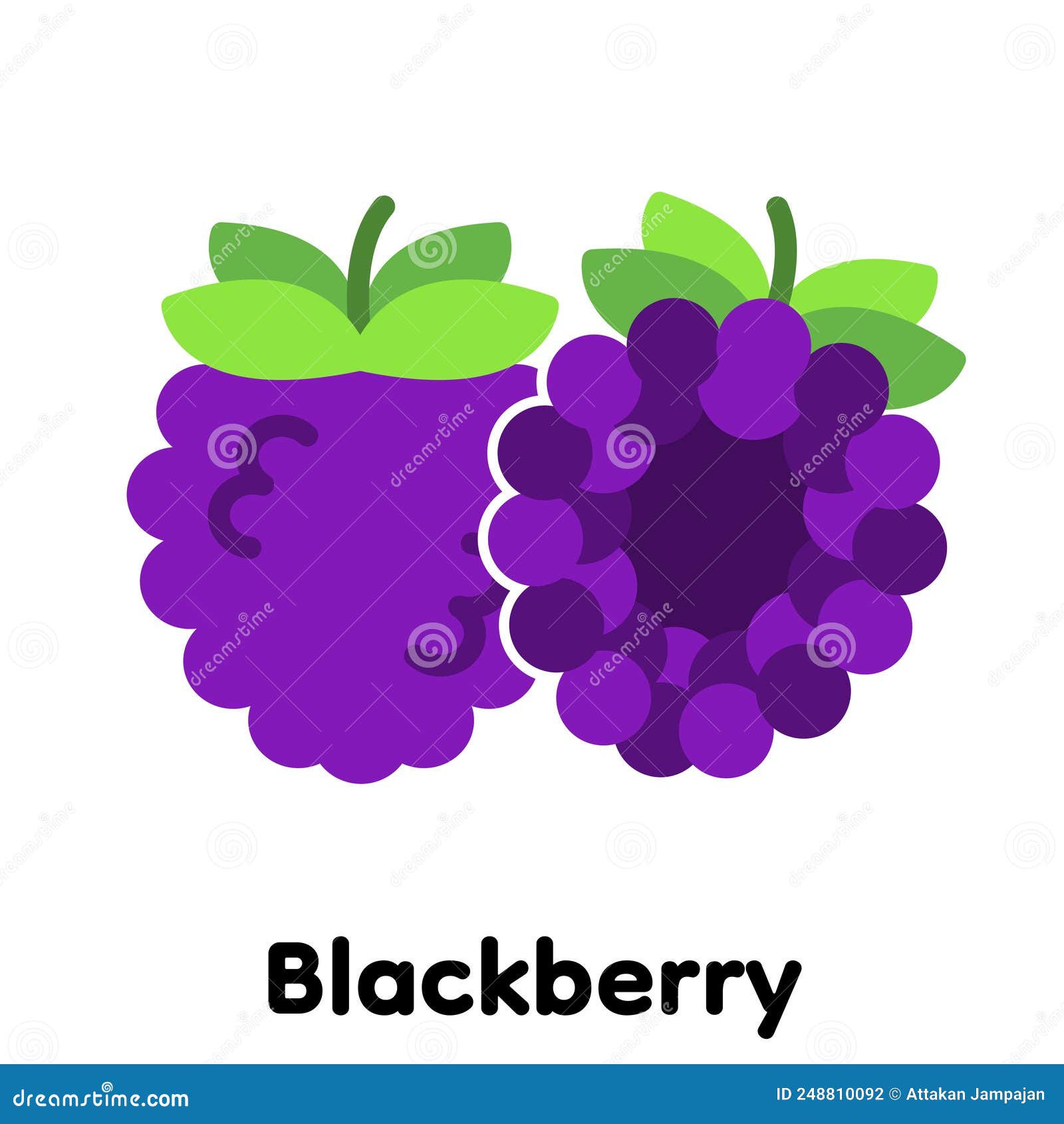 Blackberry Icon, Vector, Illustration . Stock Vector - Illustration of ...