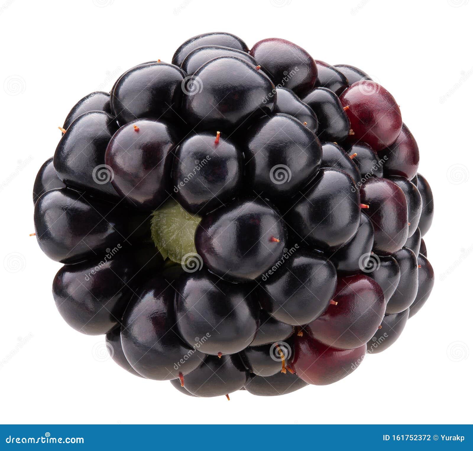 Blackberry Isolated on a White Background Stock Photo - Image of ...