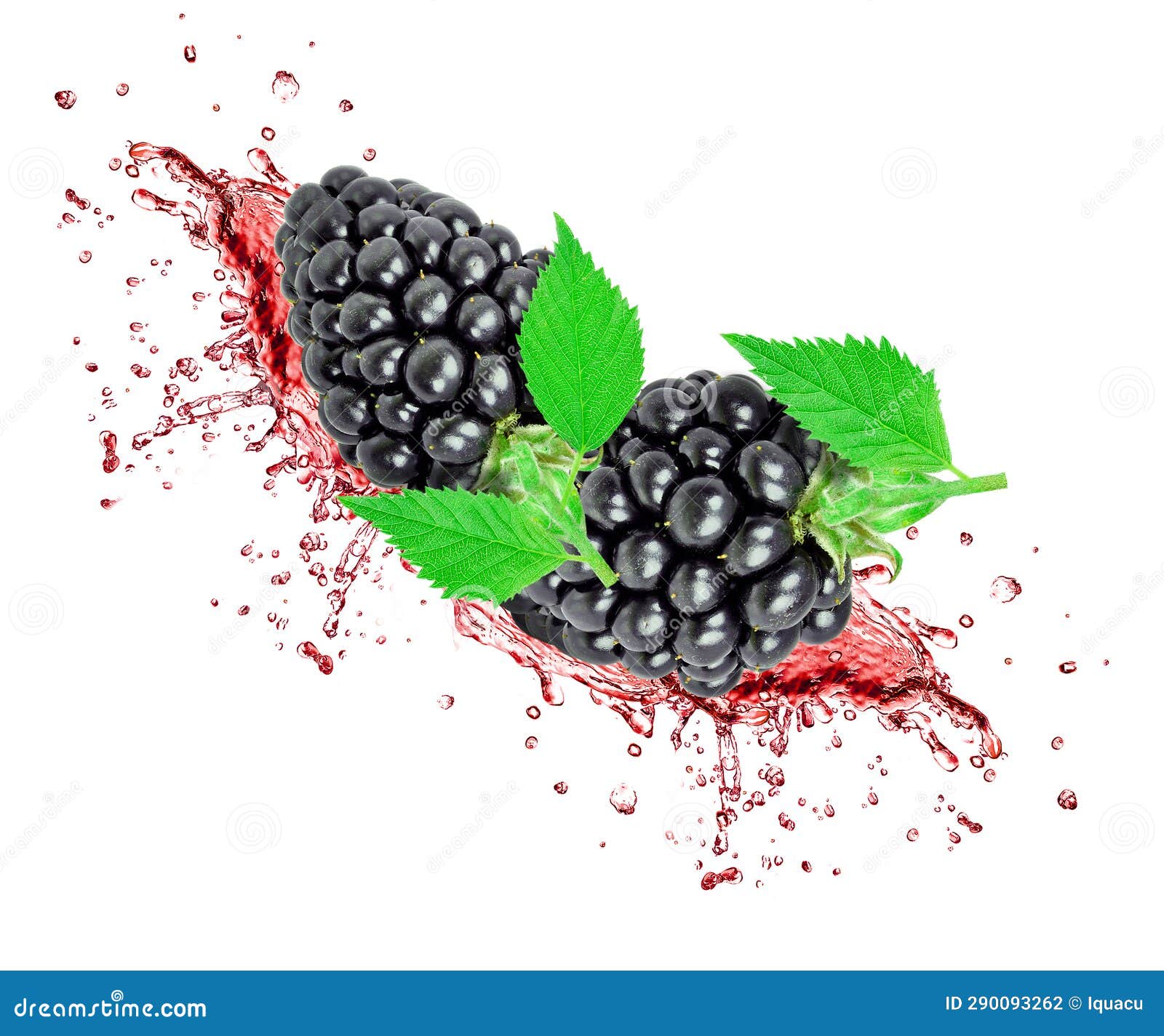 Blackberry juice splash stock photo. Image of sweet - 290093262