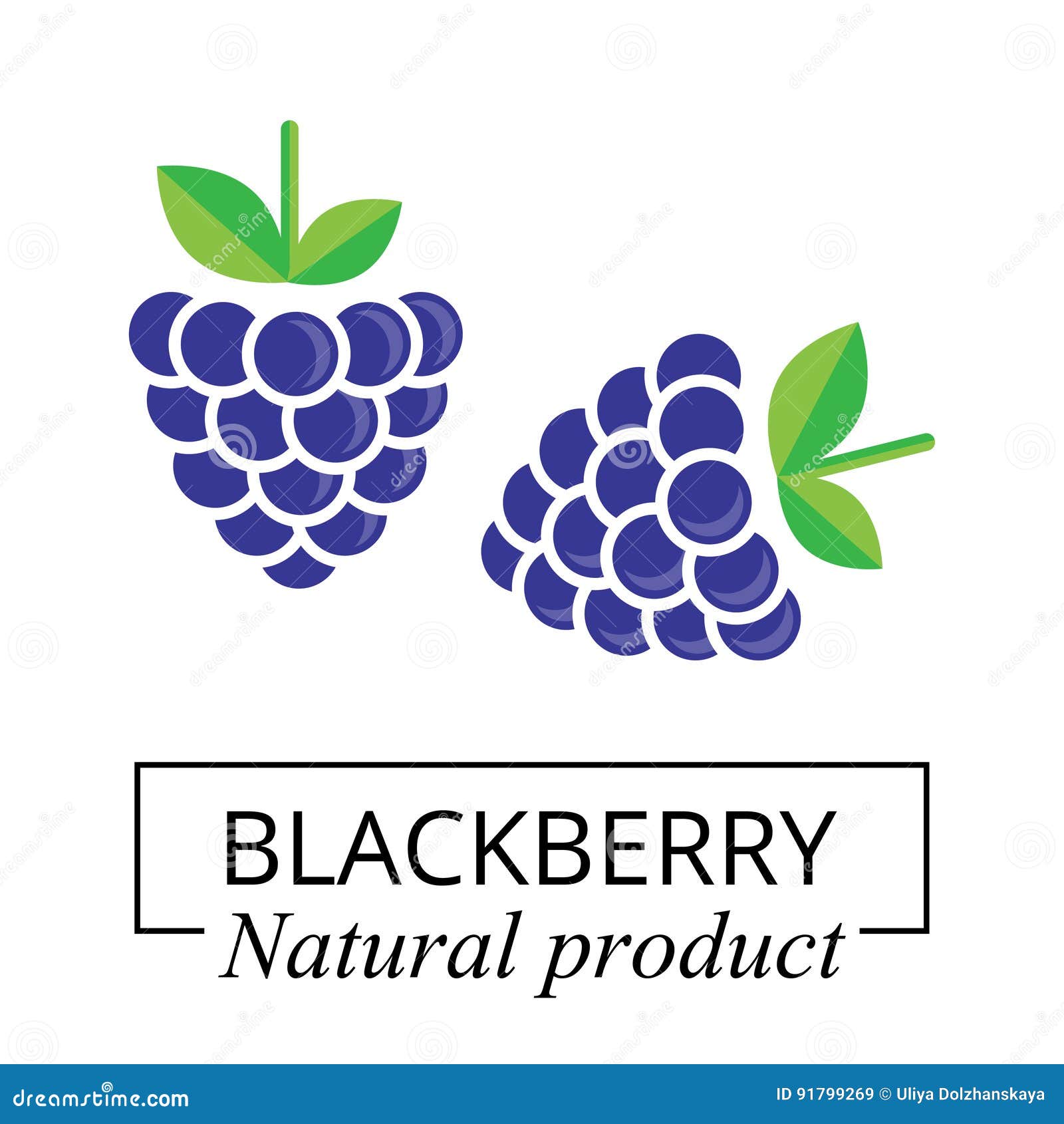 Blackberry label stock vector. Illustration of logo, summer - 91799269