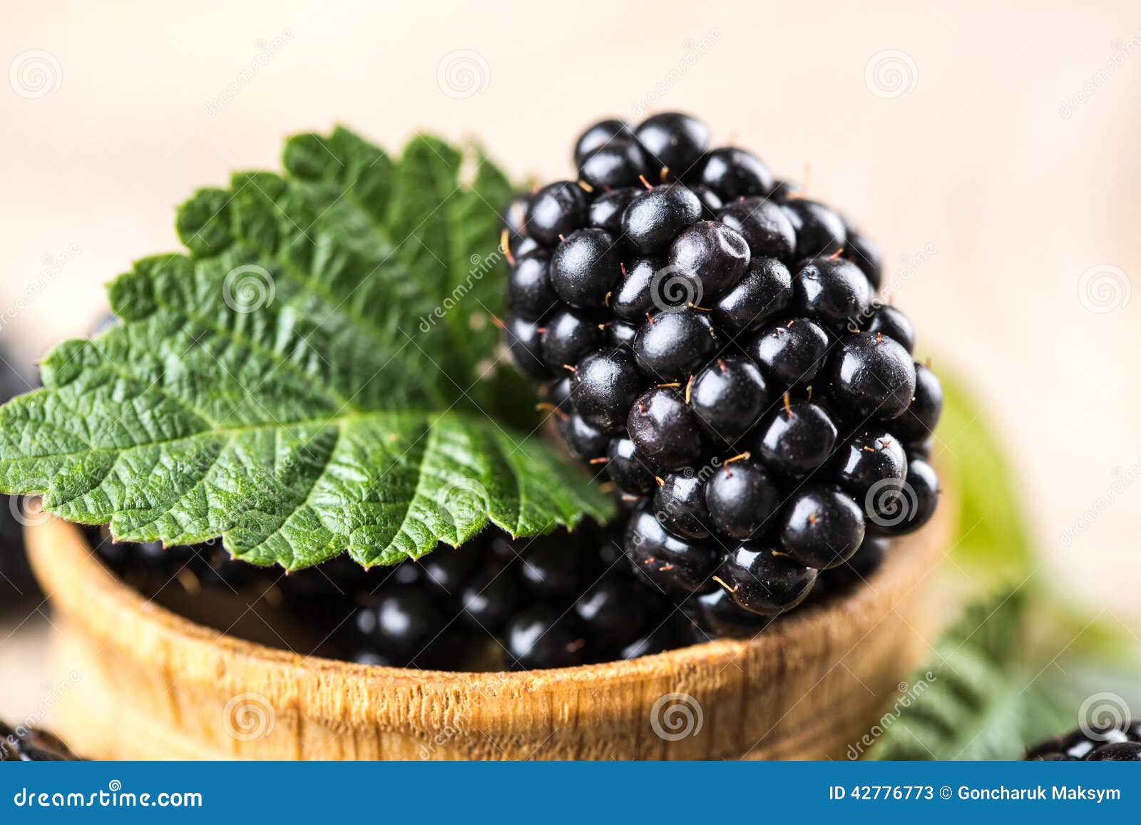 Blackberry with leaves stock image. Image of shiny, fruit - 42776773