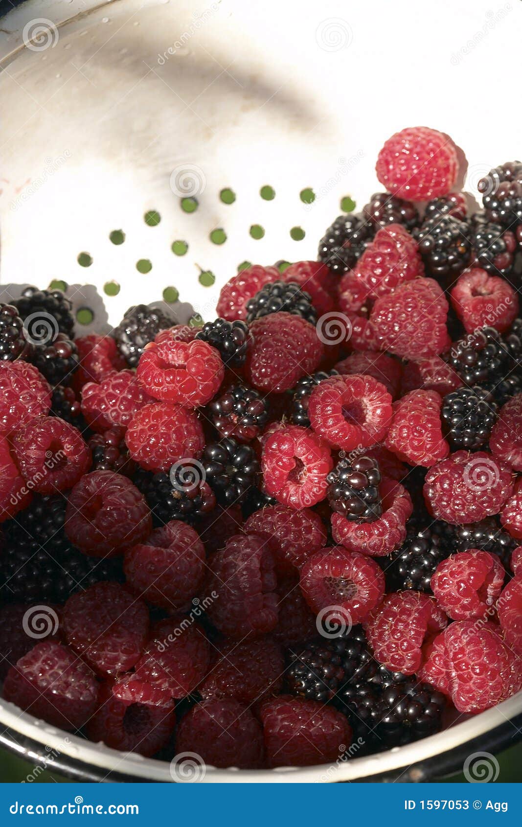 Blackberry and raspberry stock image. Image of healthy - 1597053