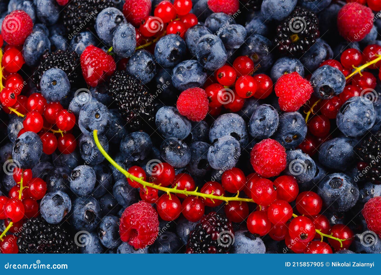 Blackberry, Raspberry, Blueberry, Red Currant and Mint Background Stock ...