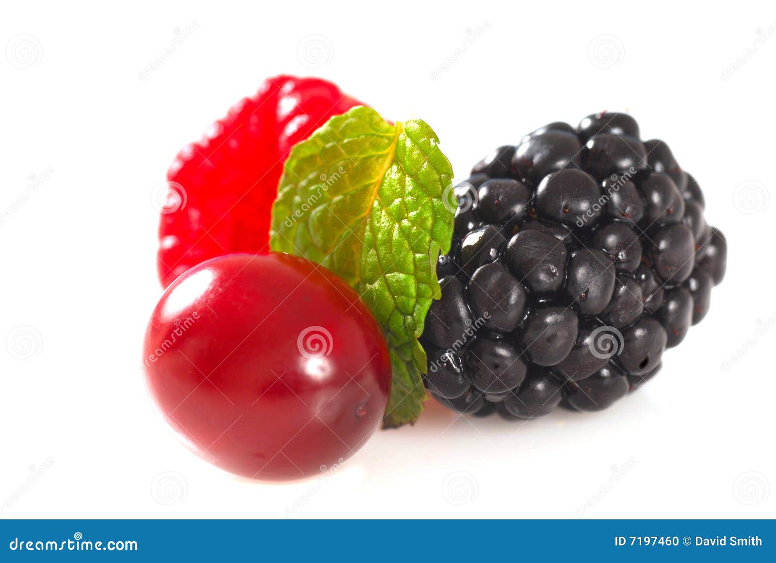 Blackberry Raspberry Strawberry Blueberry Fruit Mix Royalty-Free Stock ...