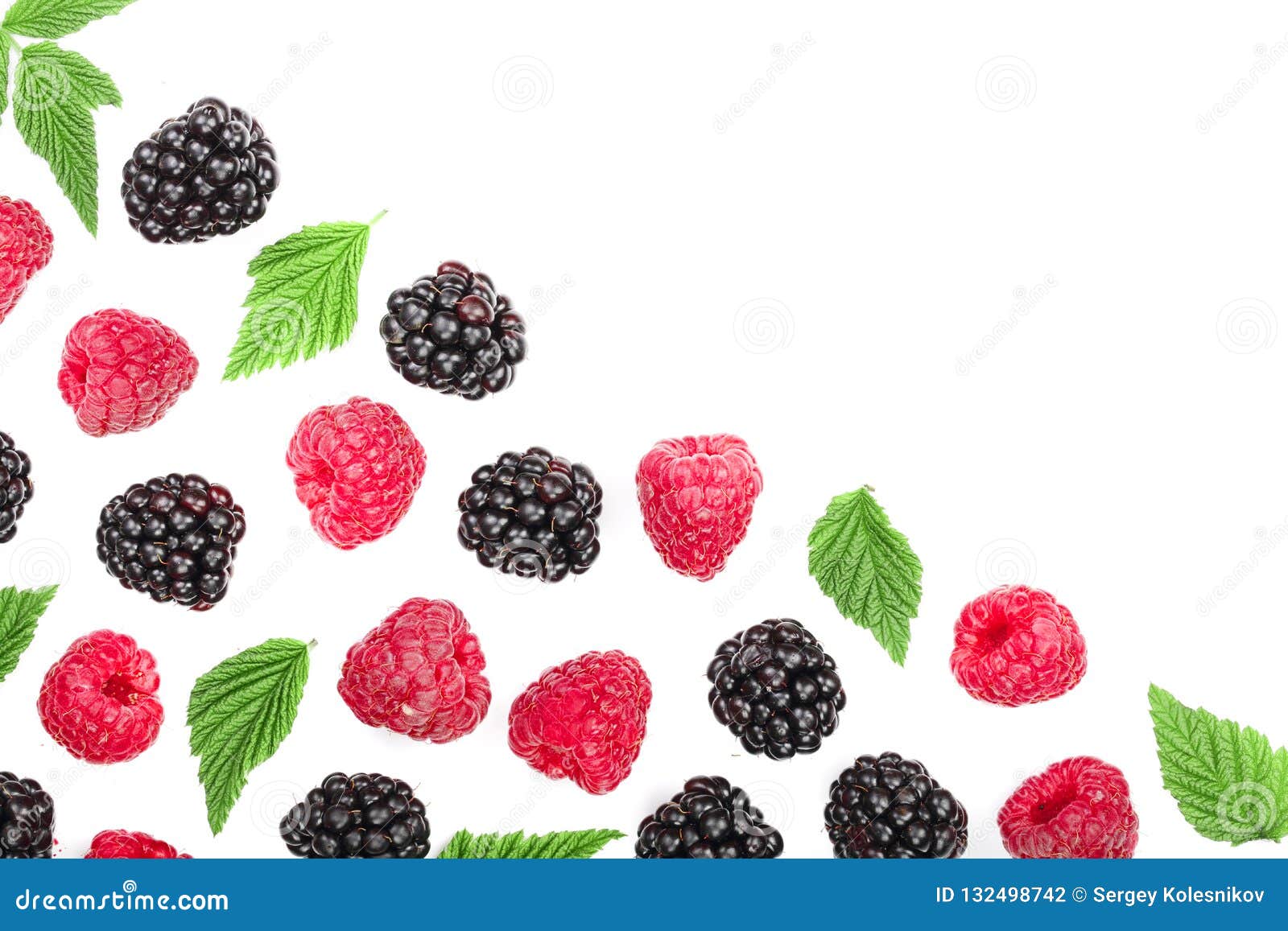 Blackberry and Raspberry with Leaves Isolated on White Background with ...
