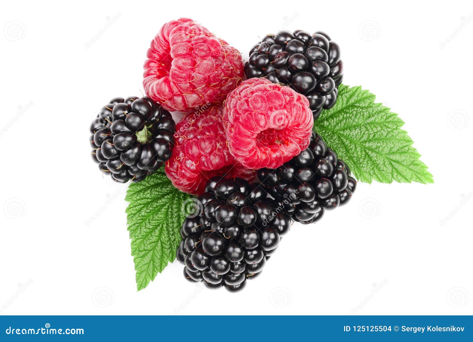 Blackberry and Raspberry with Leaves Isolated on White Background. Top ...