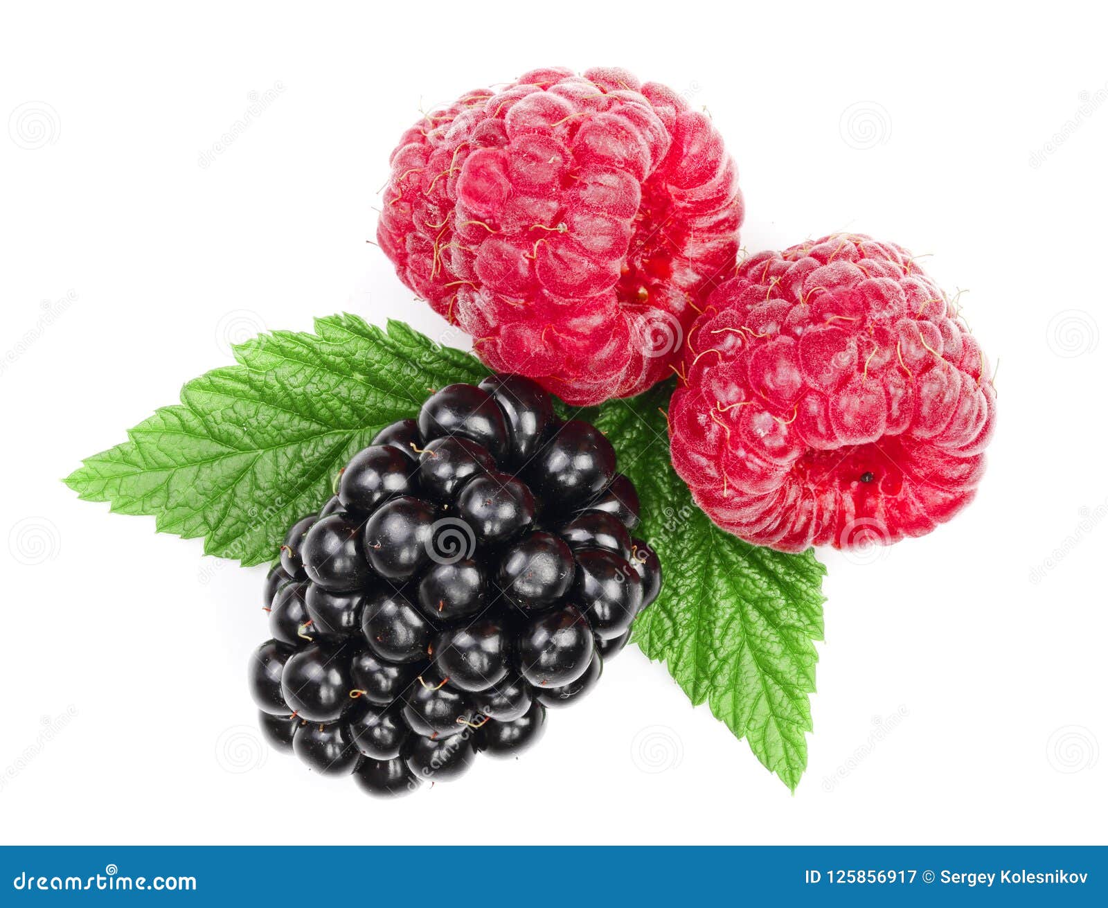 Blackberry and Raspberry with Leaves Isolated on White Background. Top ...