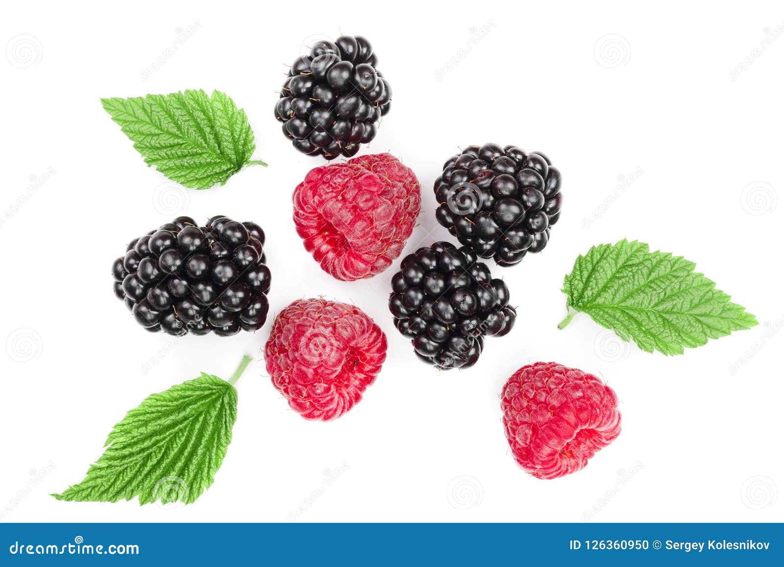 Blackberry and Raspberry with Leaves Isolated on White Background. Top ...