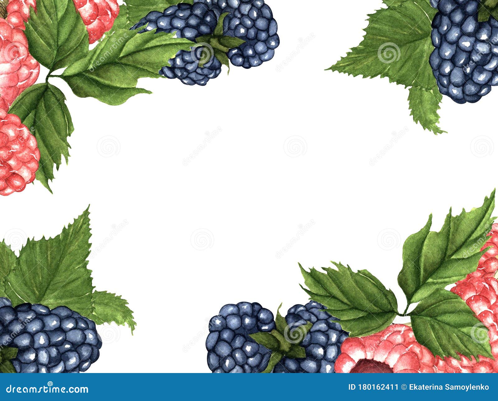 Blackberry and Raspberry Watercolor Frame Stock Illustration ...