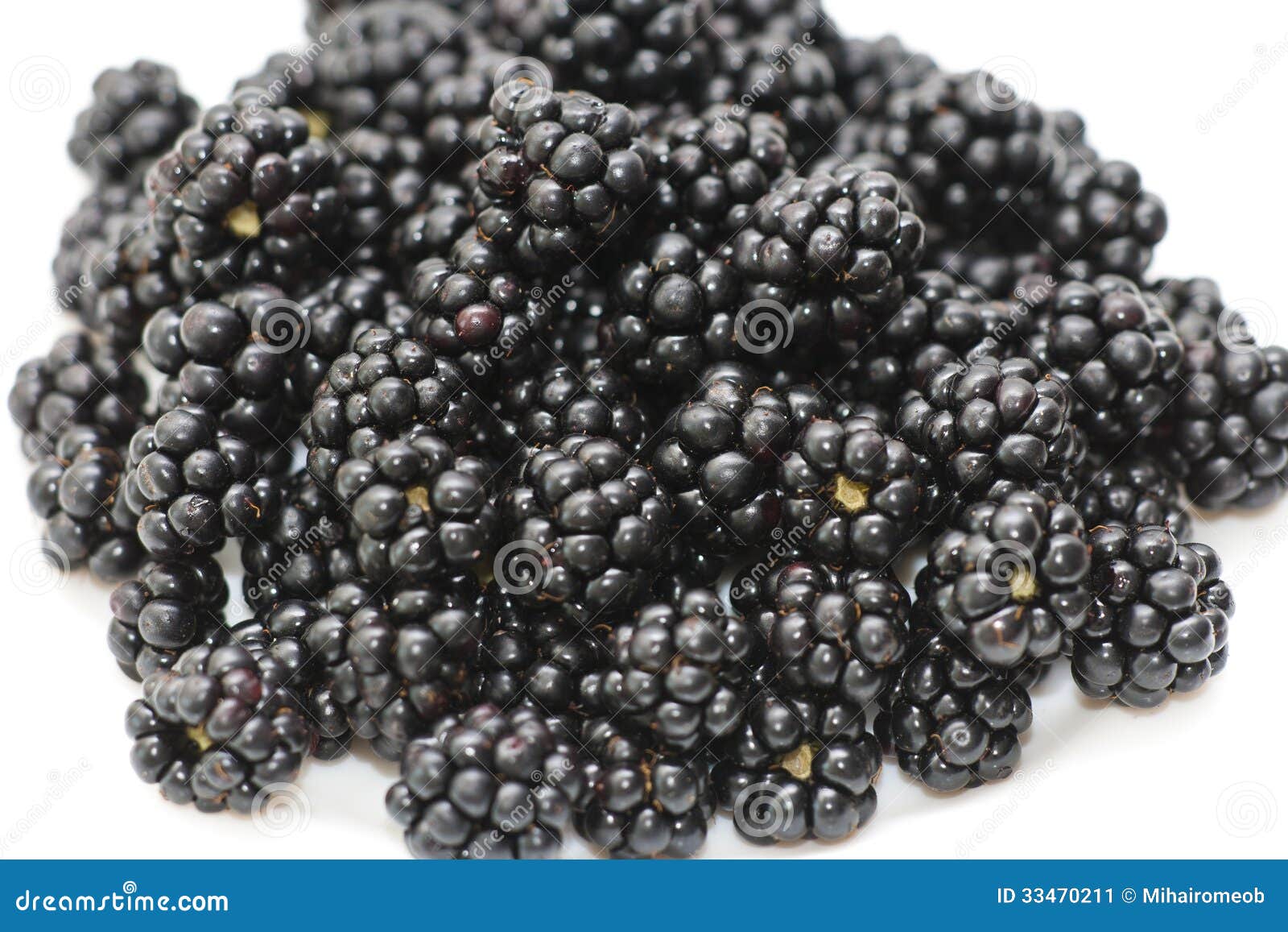 Blackberry ripe and fresh stock image. Image of healthy - 33470211