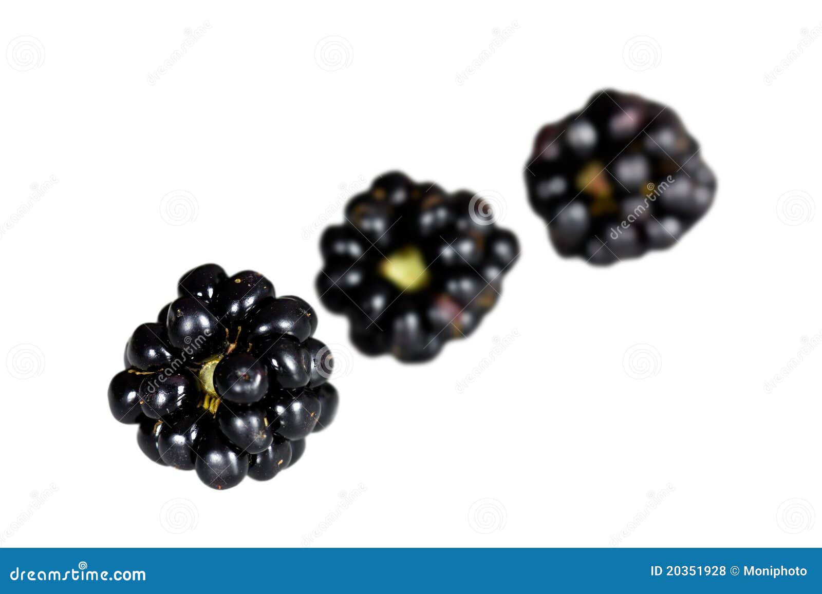 Blackberry ,Rubus Fruticosus,close Up Stock Photo - Image of fruit ...