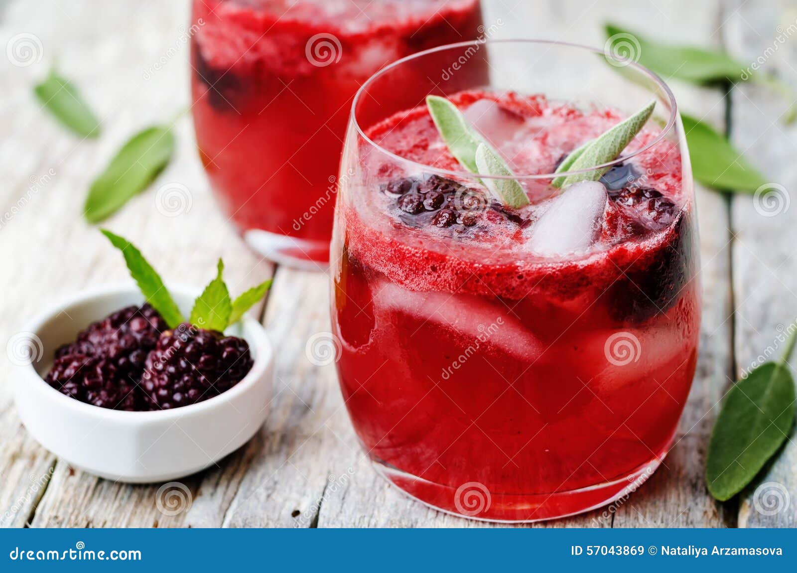782 Sage Berry Stock Photos - Free & Royalty-Free Stock Photos from ...